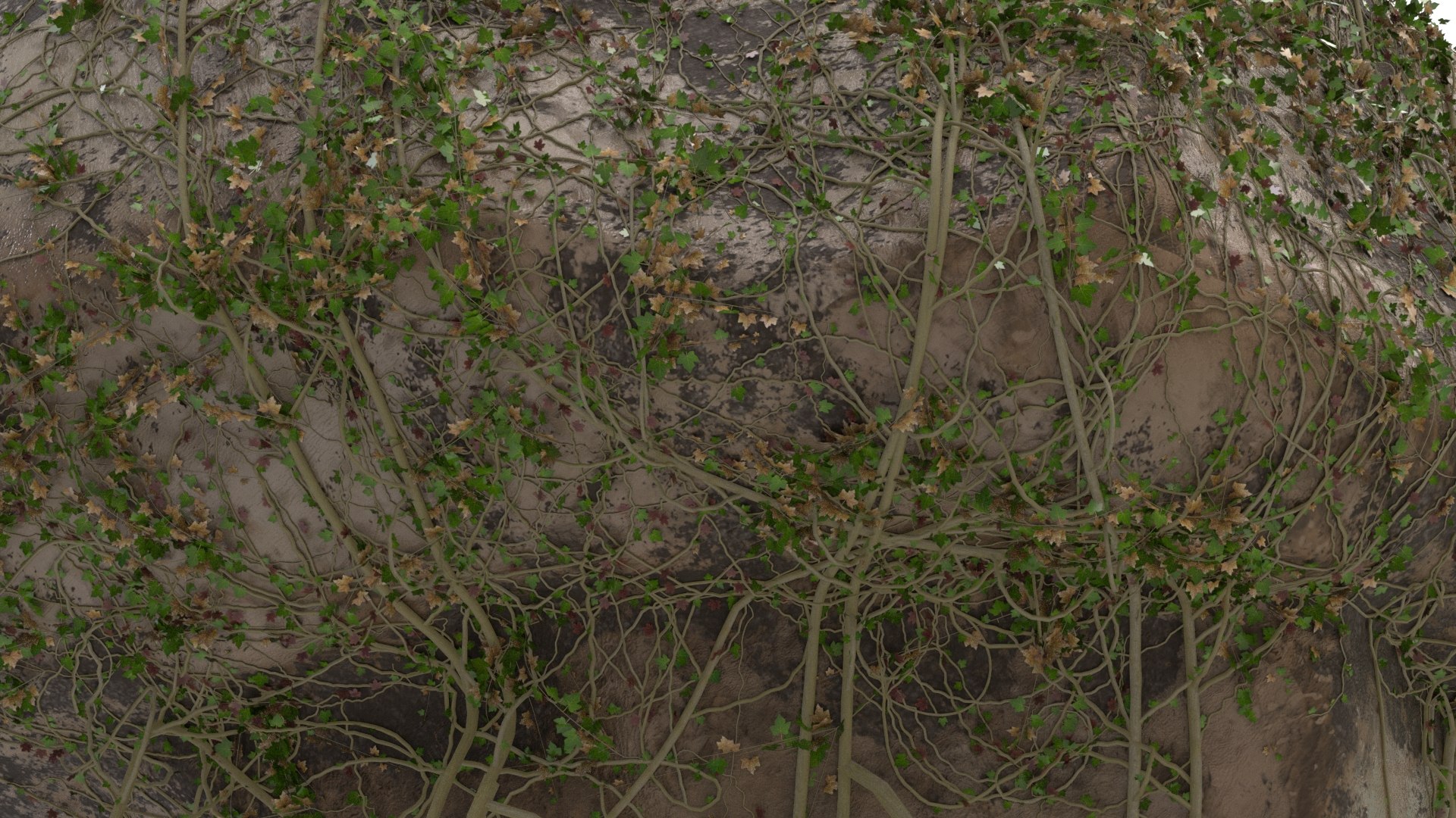 4K Realistic Giant Rock Ivy 3D model - TurboSquid 2088026