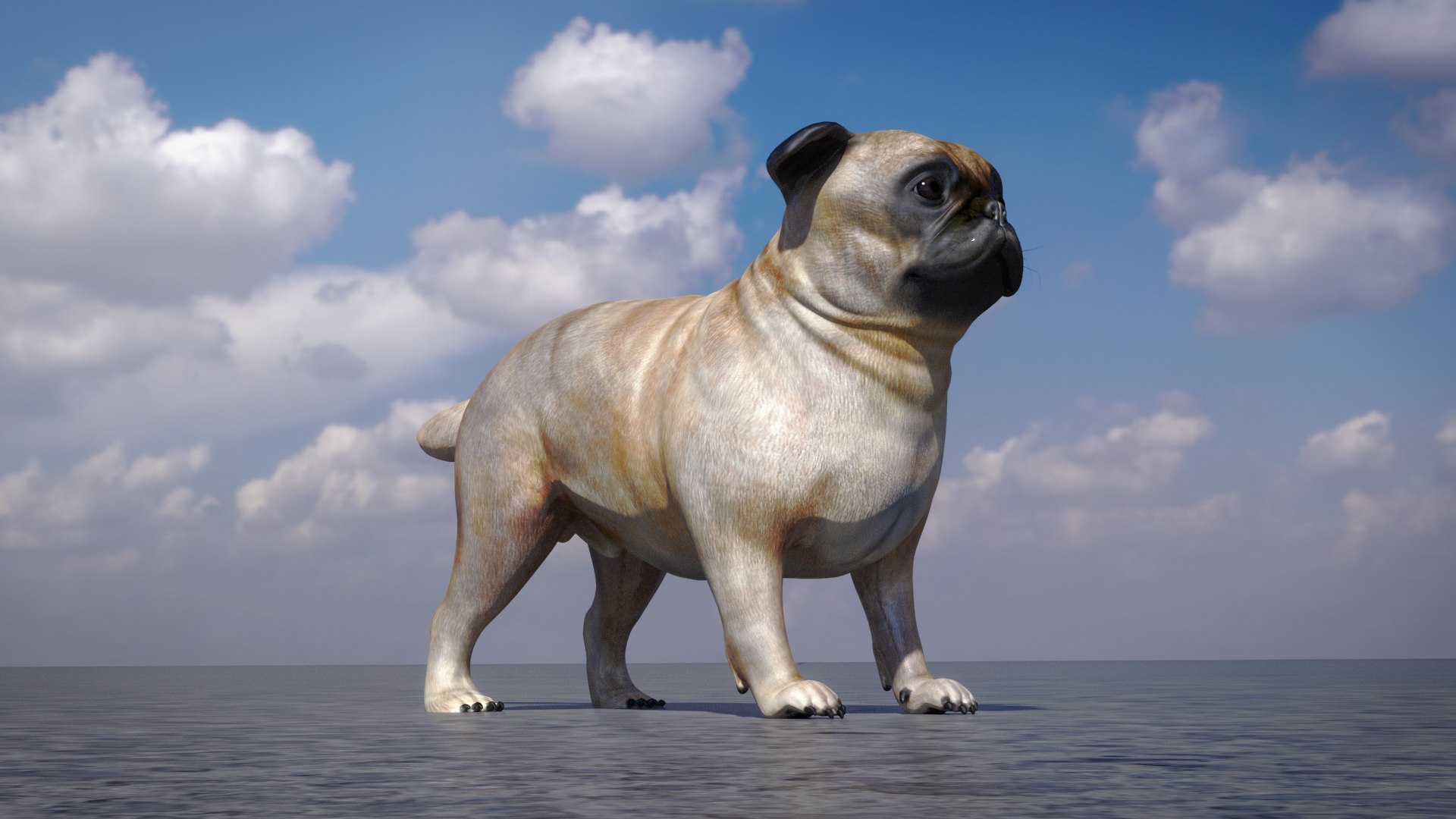 3D Pug Dog - TurboSquid 2349180