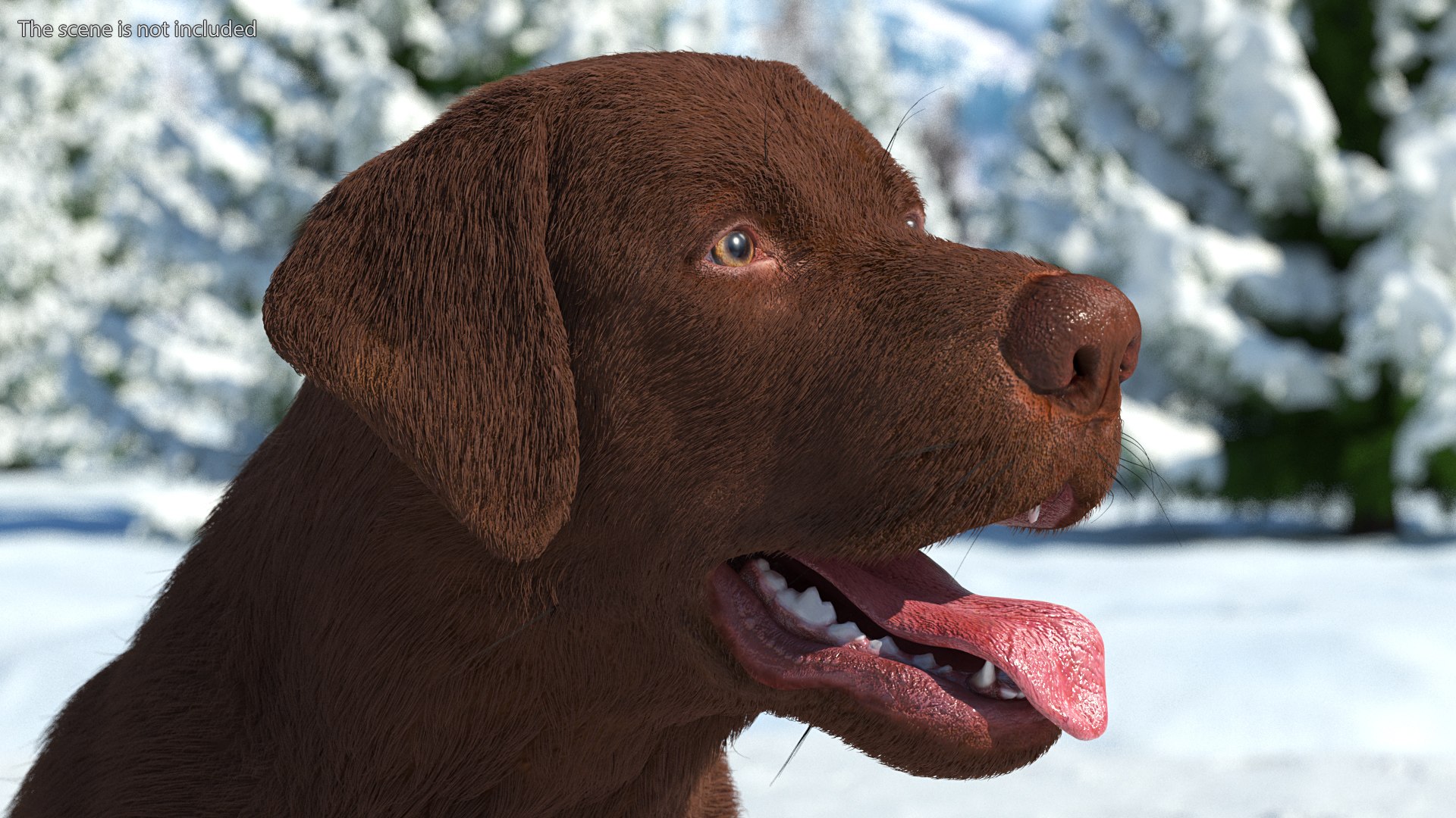 3D Labrador Dog Brown Sitting Fur - TurboSquid 1822491