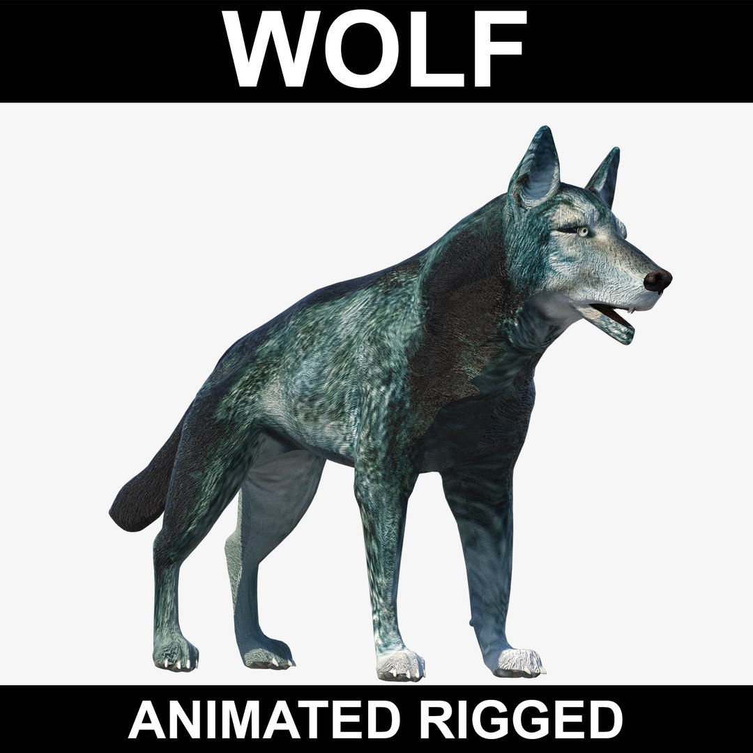3d realistic wolf rigged model