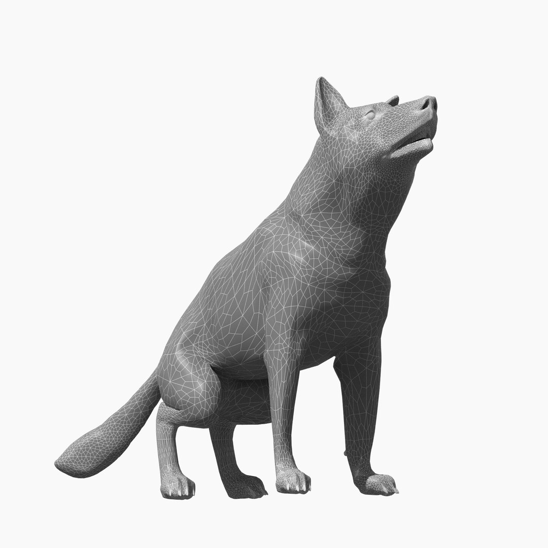 3d realistic wolf rigged model