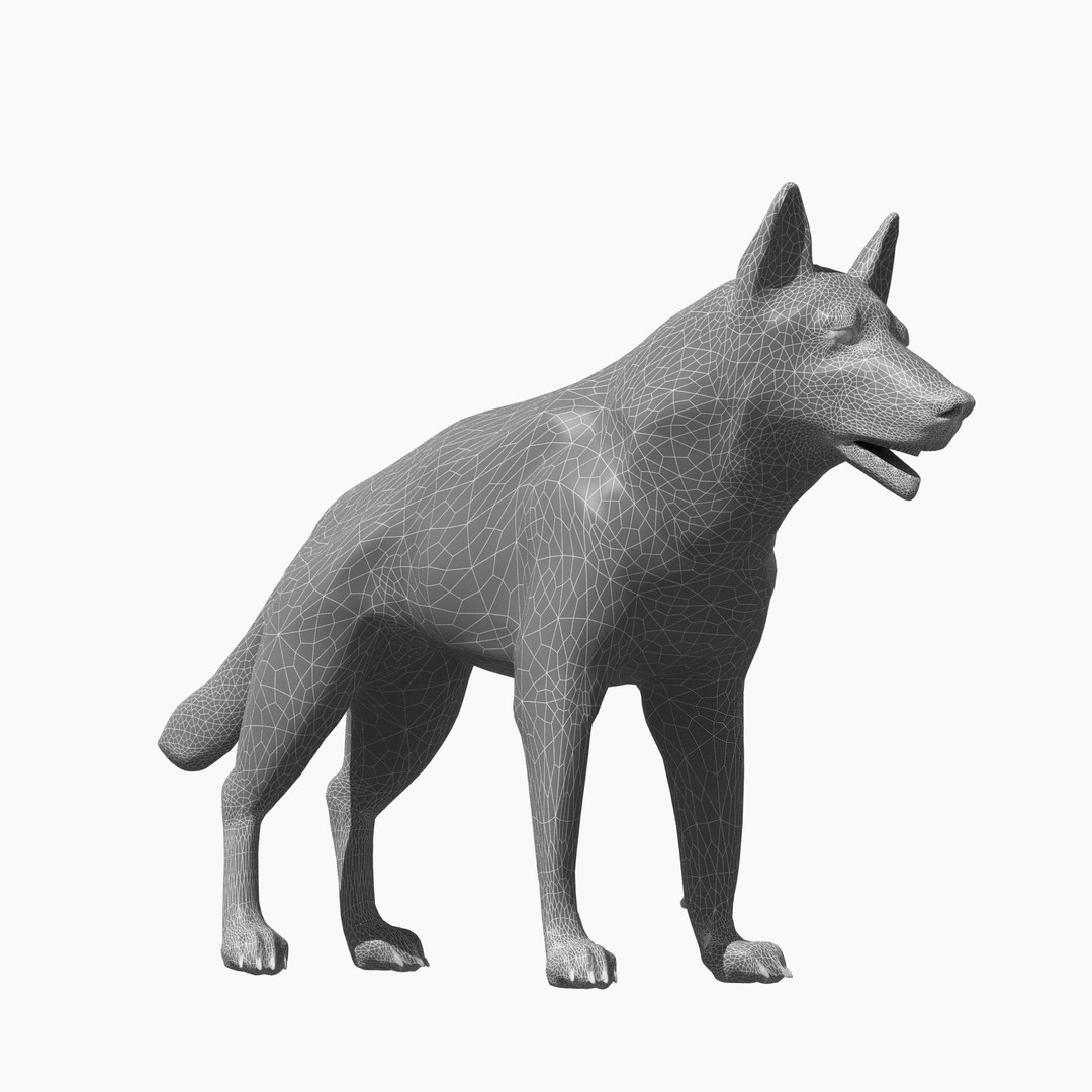 3d realistic wolf rigged model