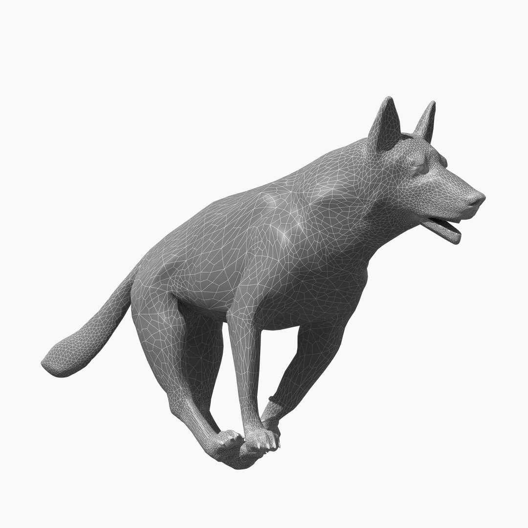 3d realistic wolf rigged model