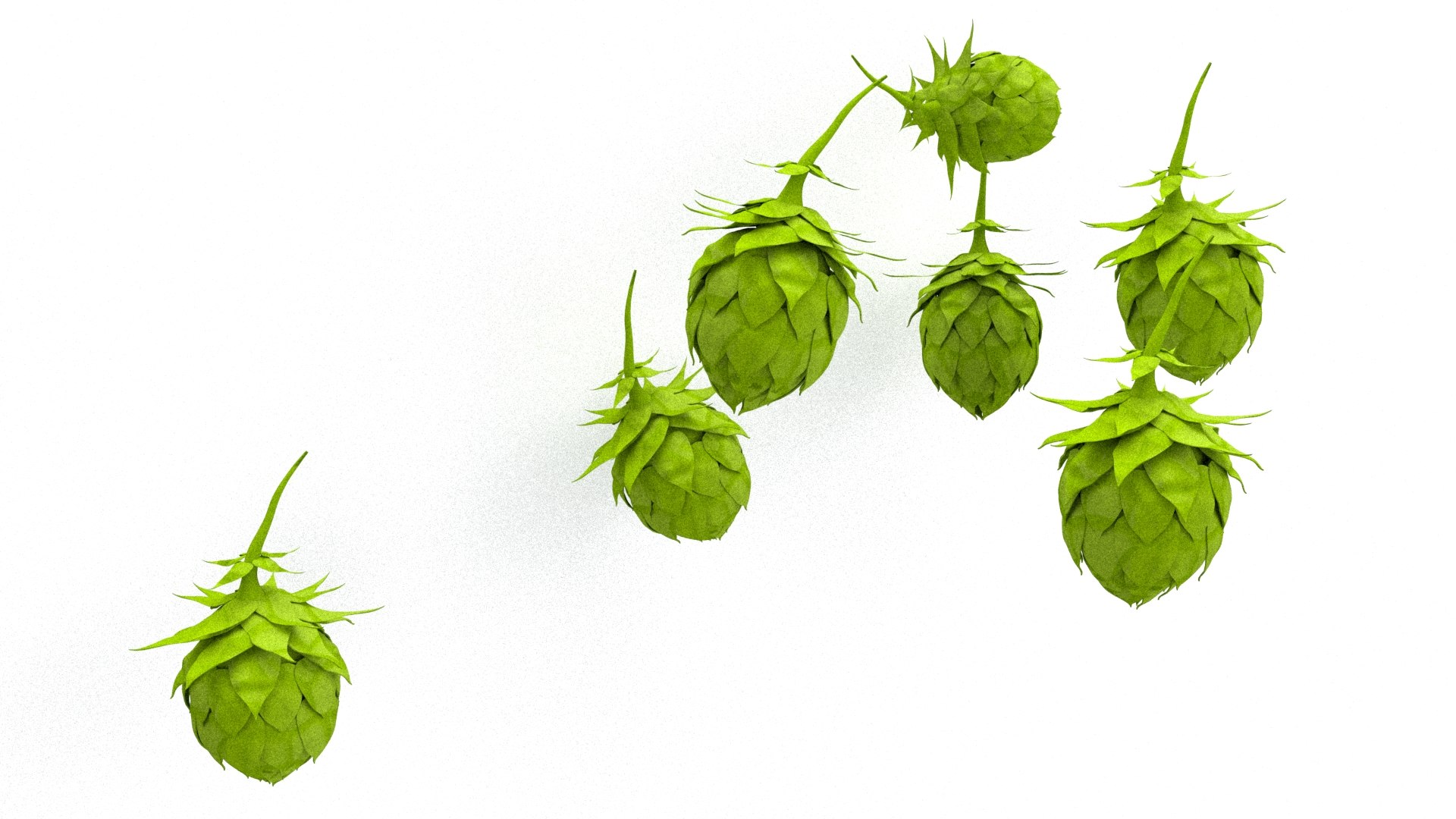 3D Hops - TurboSquid 1535811