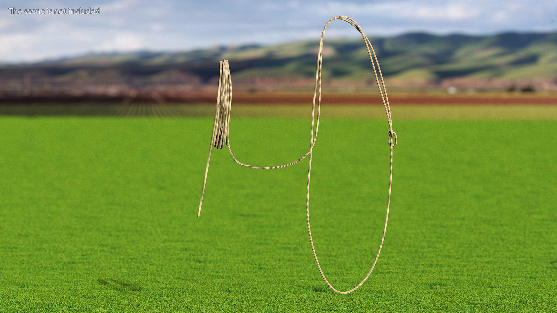 3D Natural Western Lasso Rope Catching Position - TurboSquid 2161956