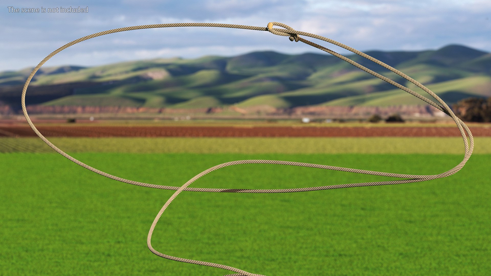 3D Natural Western Lasso Rope Catching Position - TurboSquid 2161956