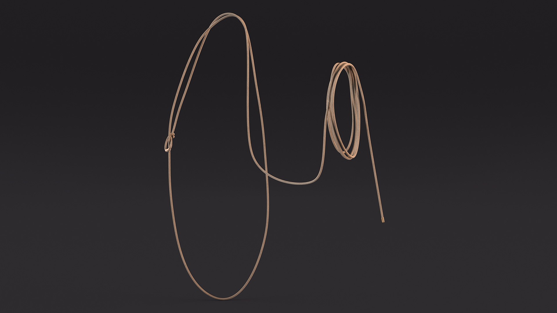 3D Natural Western Lasso Rope Catching Position - TurboSquid 2161956