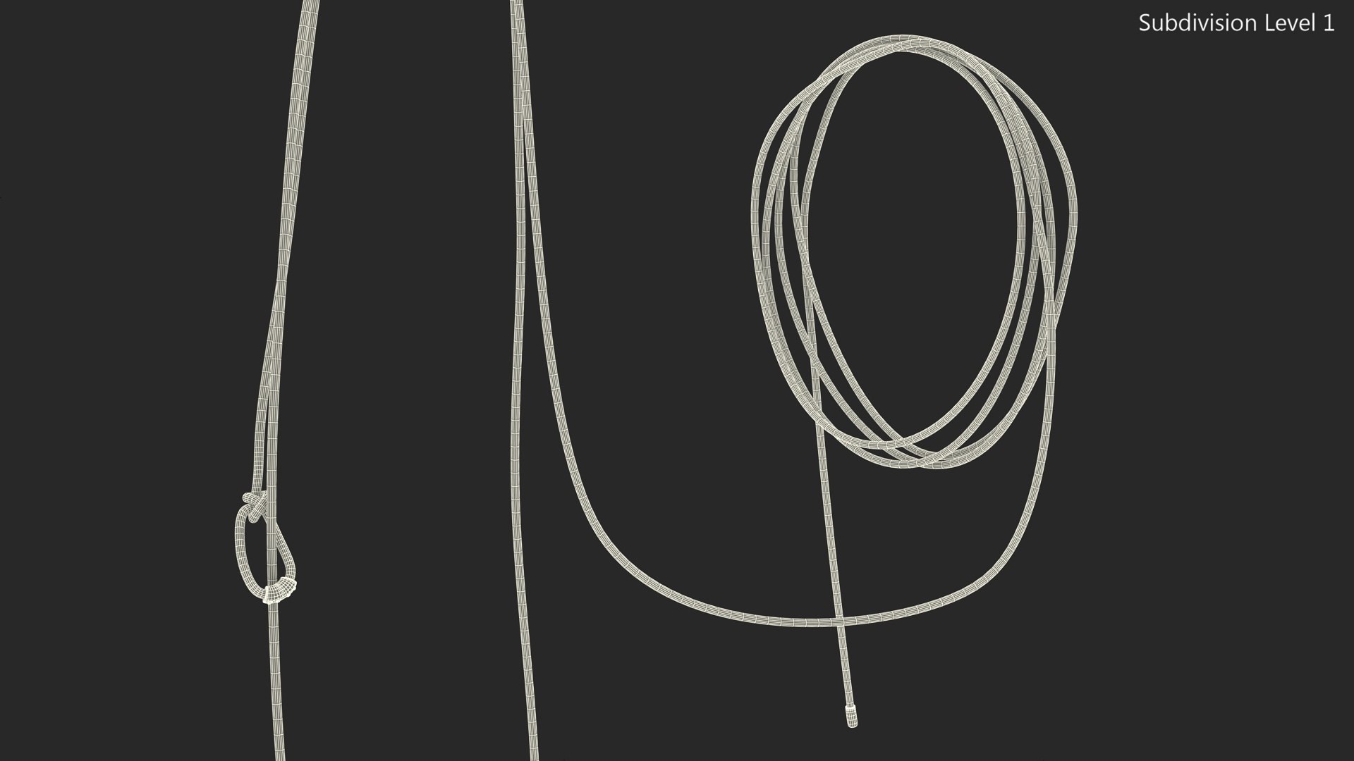 3D Natural Western Lasso Rope Catching Position - TurboSquid 2161956