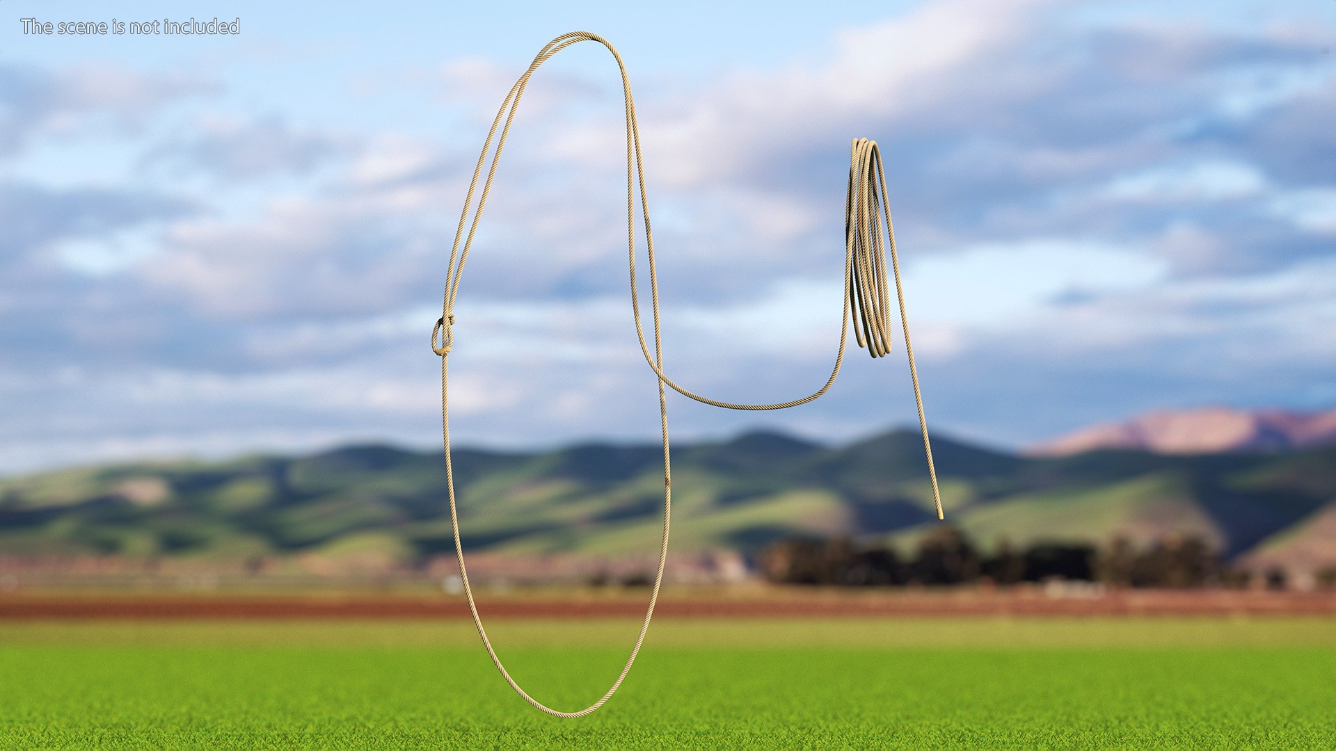 3D Natural Western Lasso Rope Catching Position - TurboSquid 2161956
