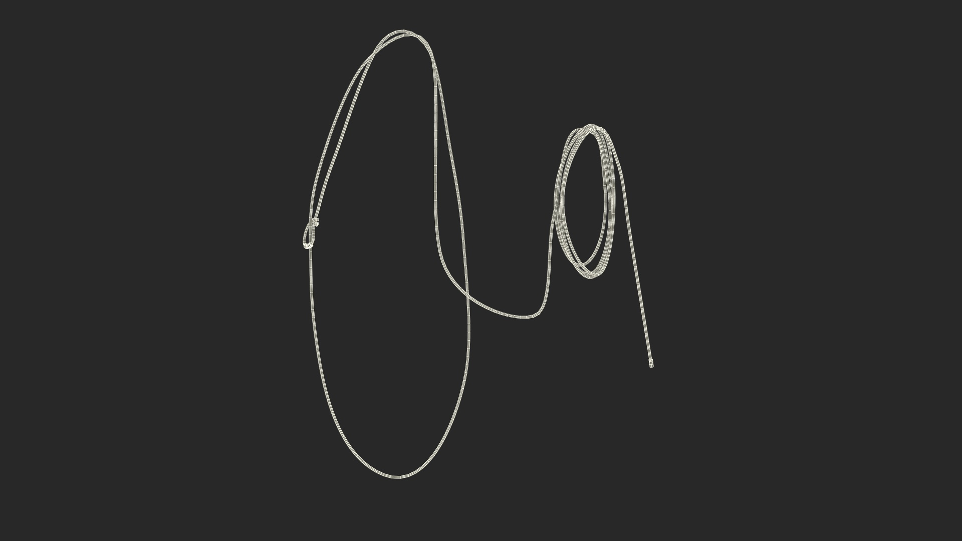 3D Natural Western Lasso Rope Catching Position - TurboSquid 2161956