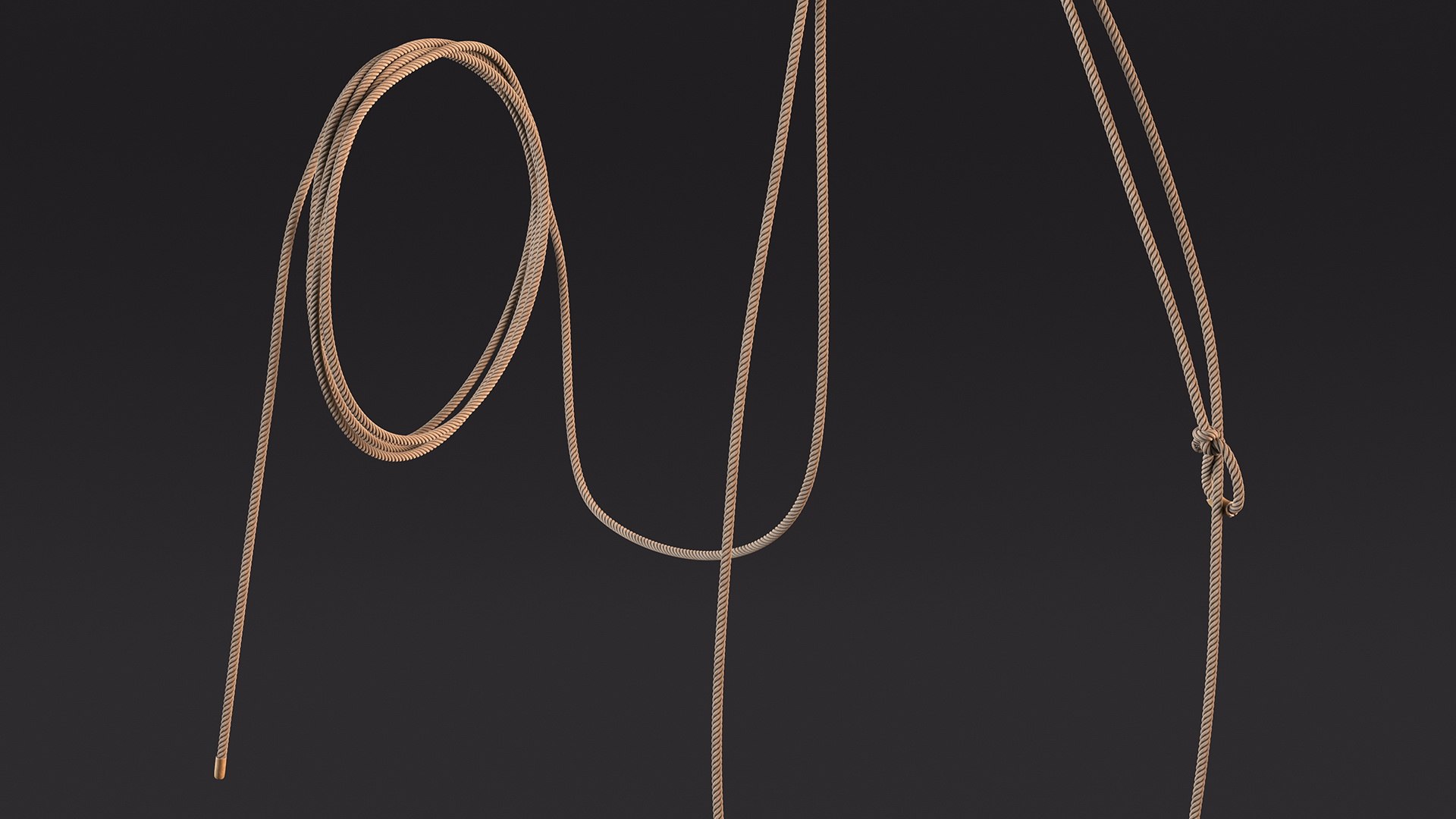 3D Natural Western Lasso Rope Catching Position - TurboSquid 2161956