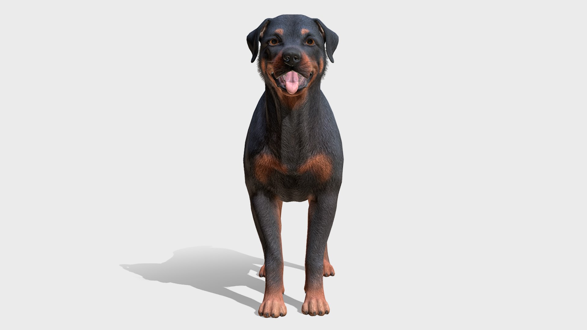 Dog - Rottweiler 3D Model - TurboSquid 1933725