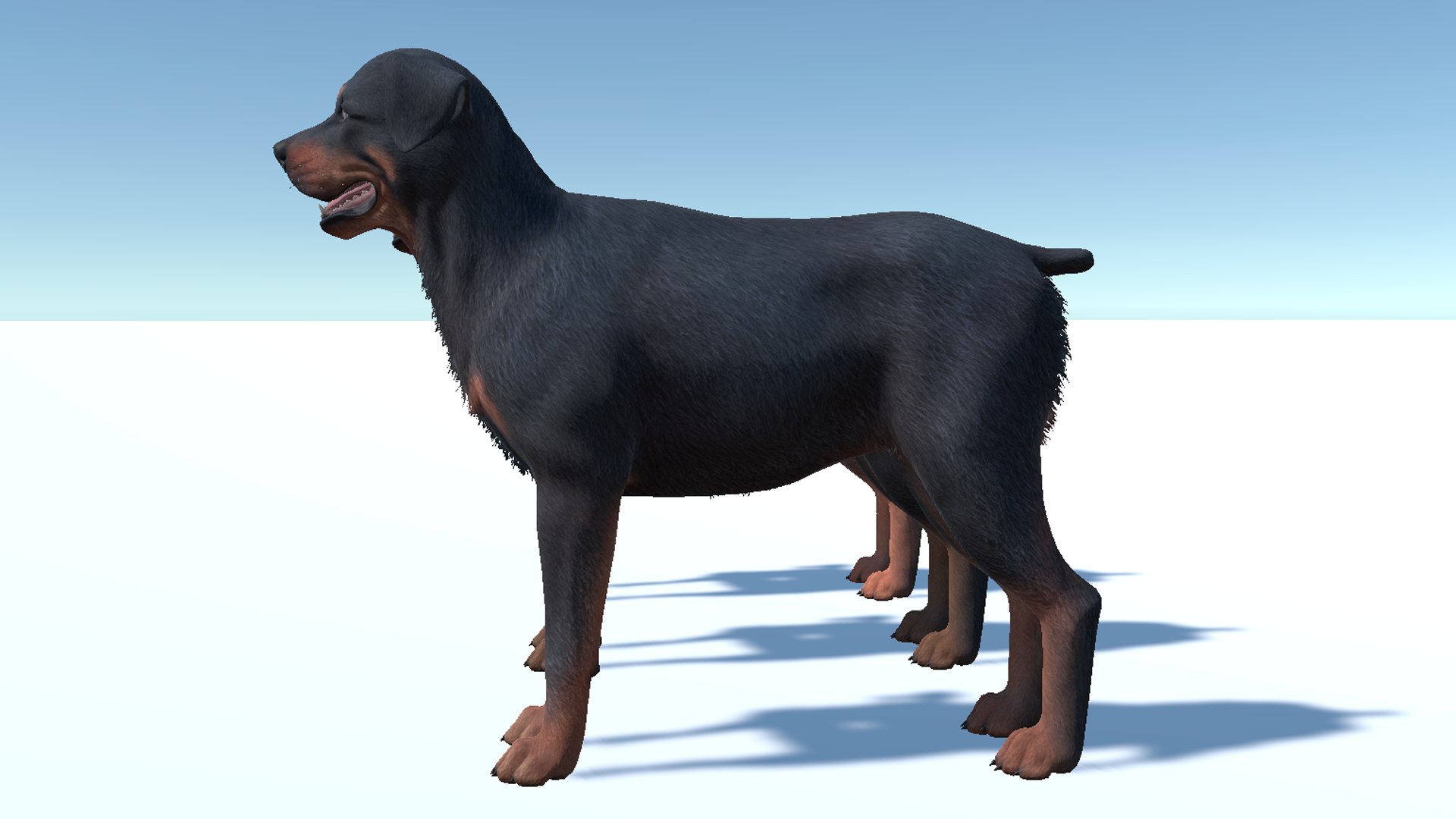 Dog - Rottweiler 3D Model - TurboSquid 1933725