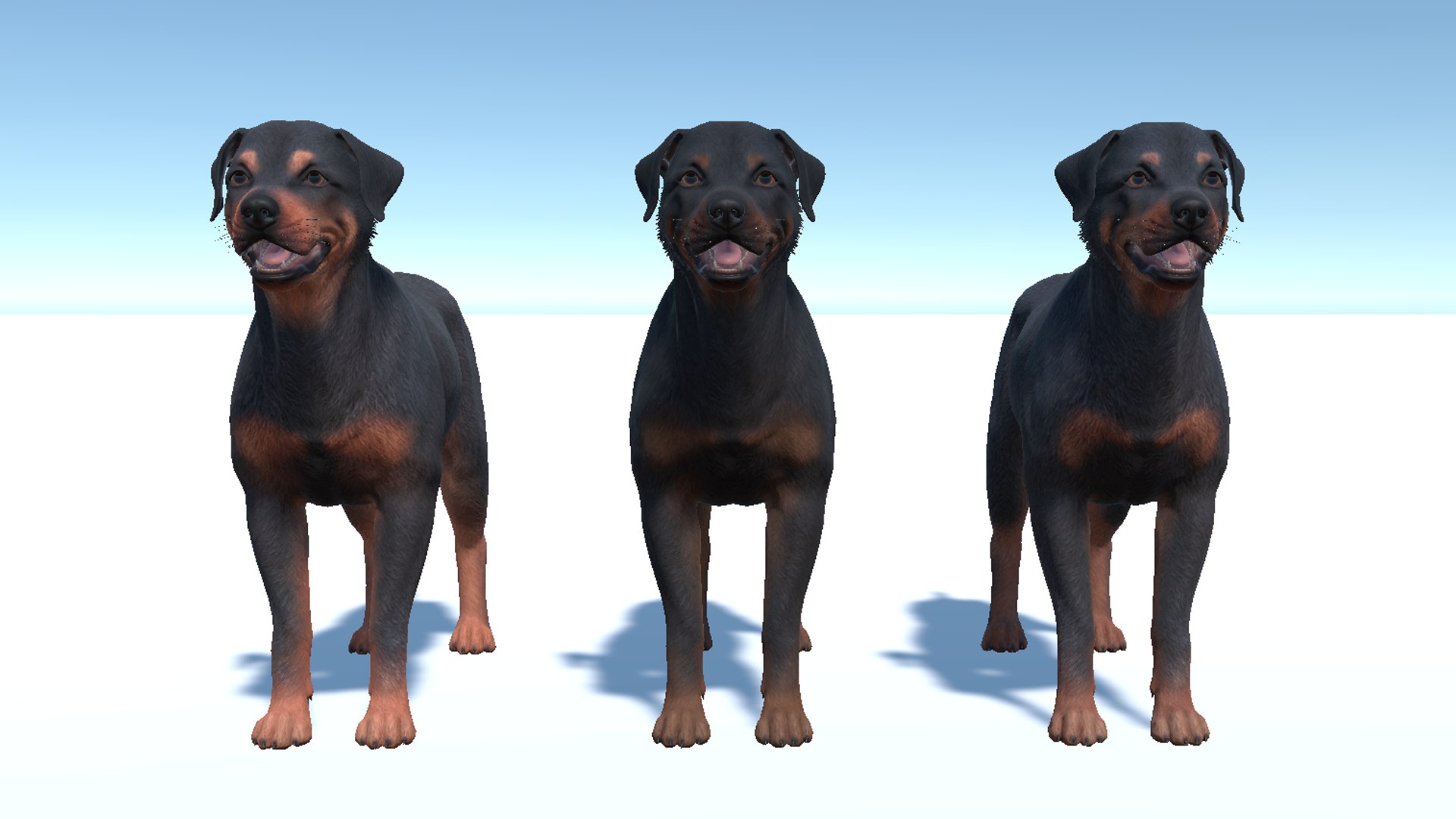 Dog - Rottweiler 3D Model - TurboSquid 1933725
