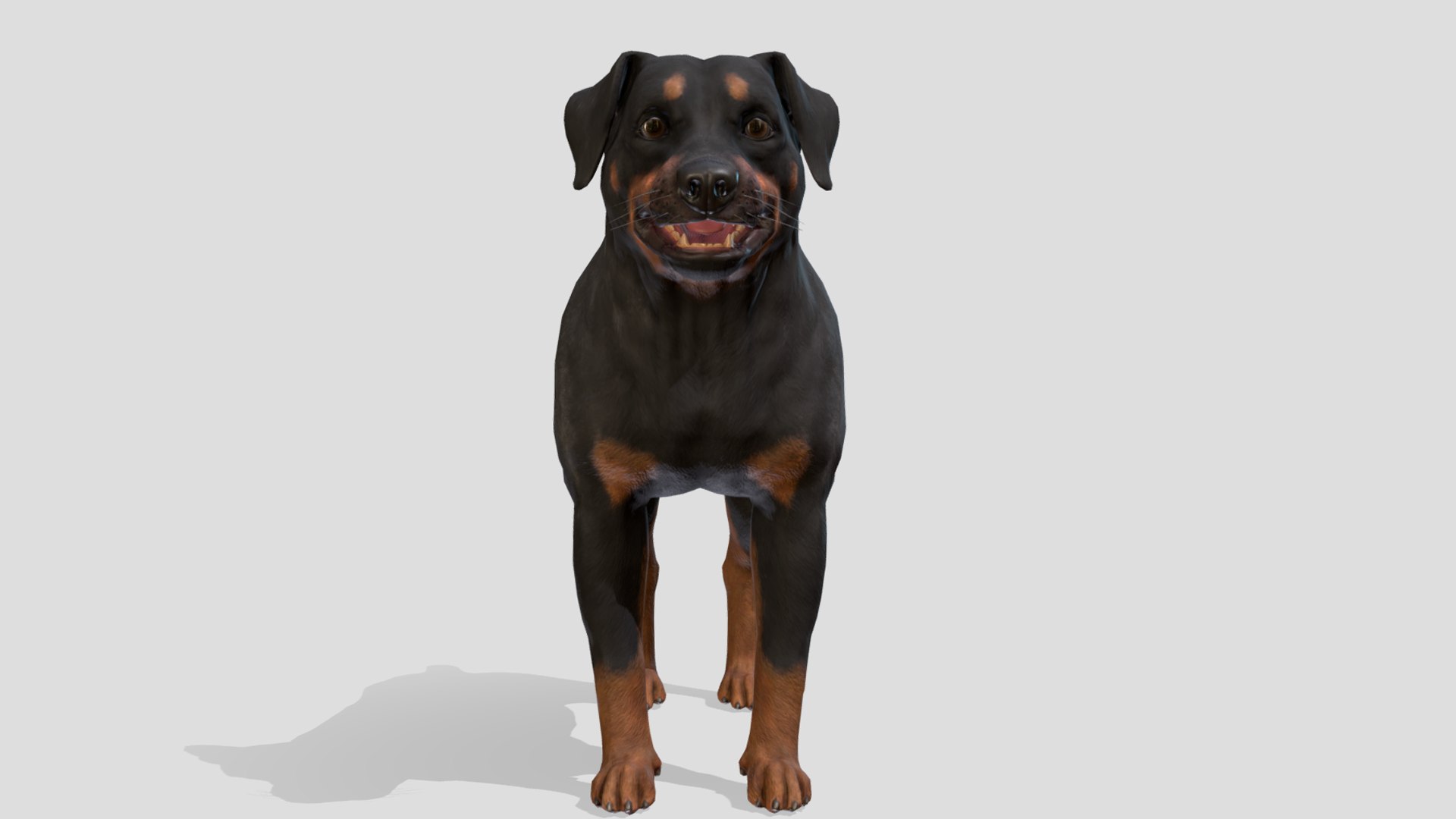 Dog - Rottweiler 3D model - TurboSquid 1933725