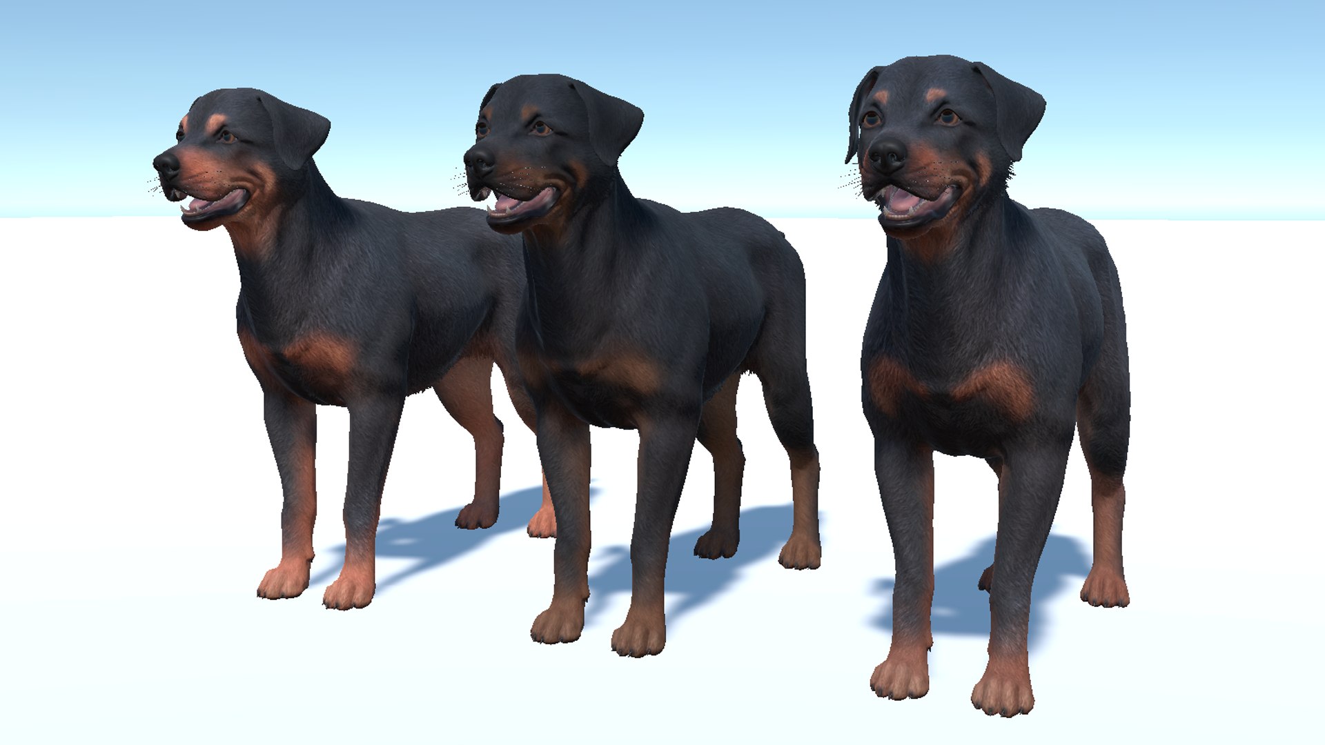 Dog - Rottweiler 3D Model - TurboSquid 1933725