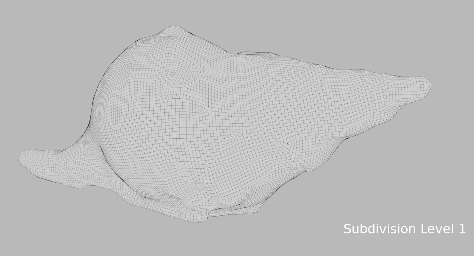Seashell Shell Sea 3D Model - TurboSquid 1397196
