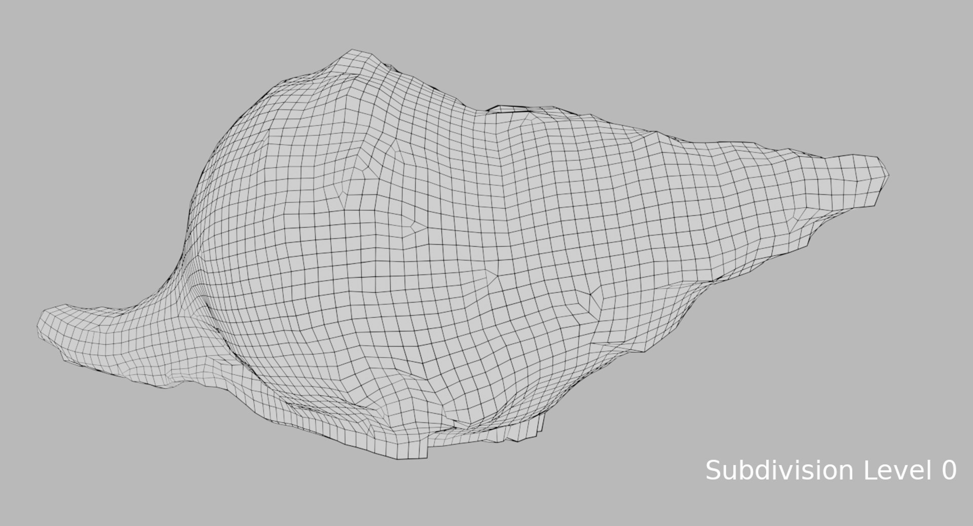 Seashell Shell Sea 3D Model - TurboSquid 1397196