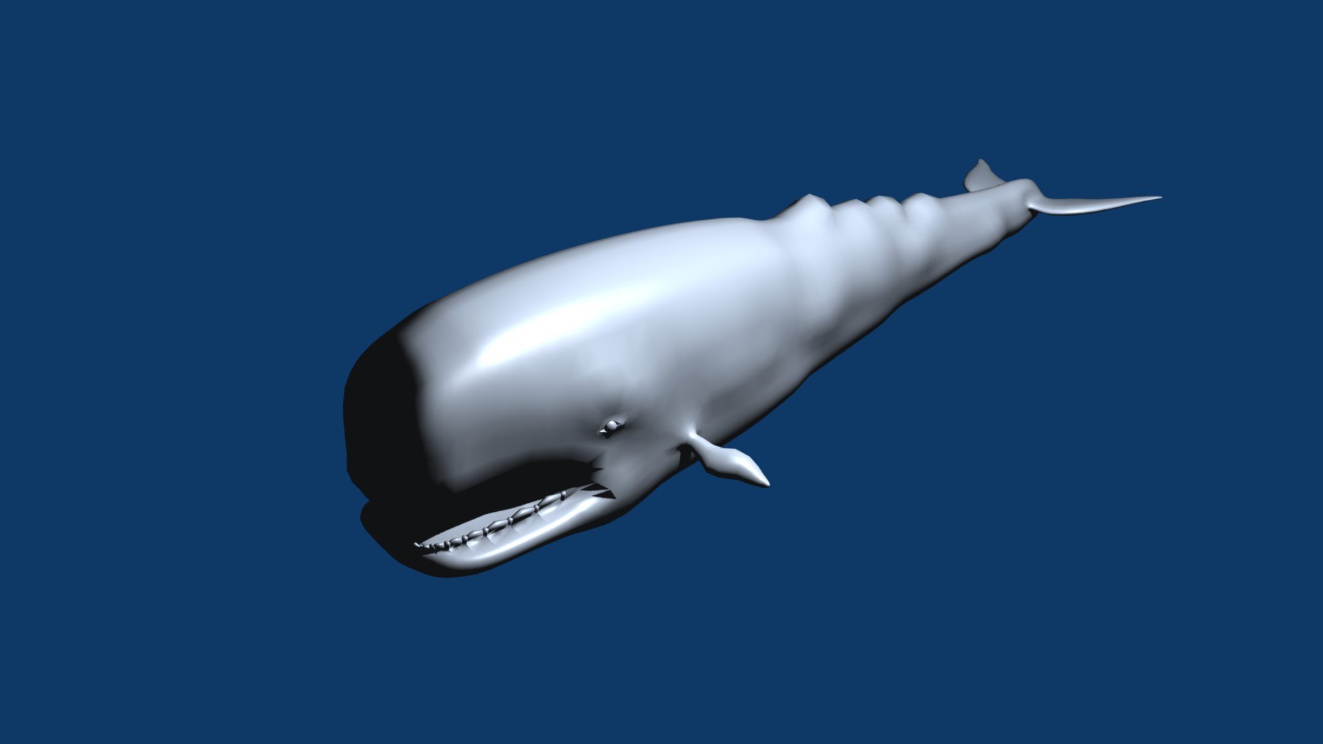 Sperm Whale 3d Model