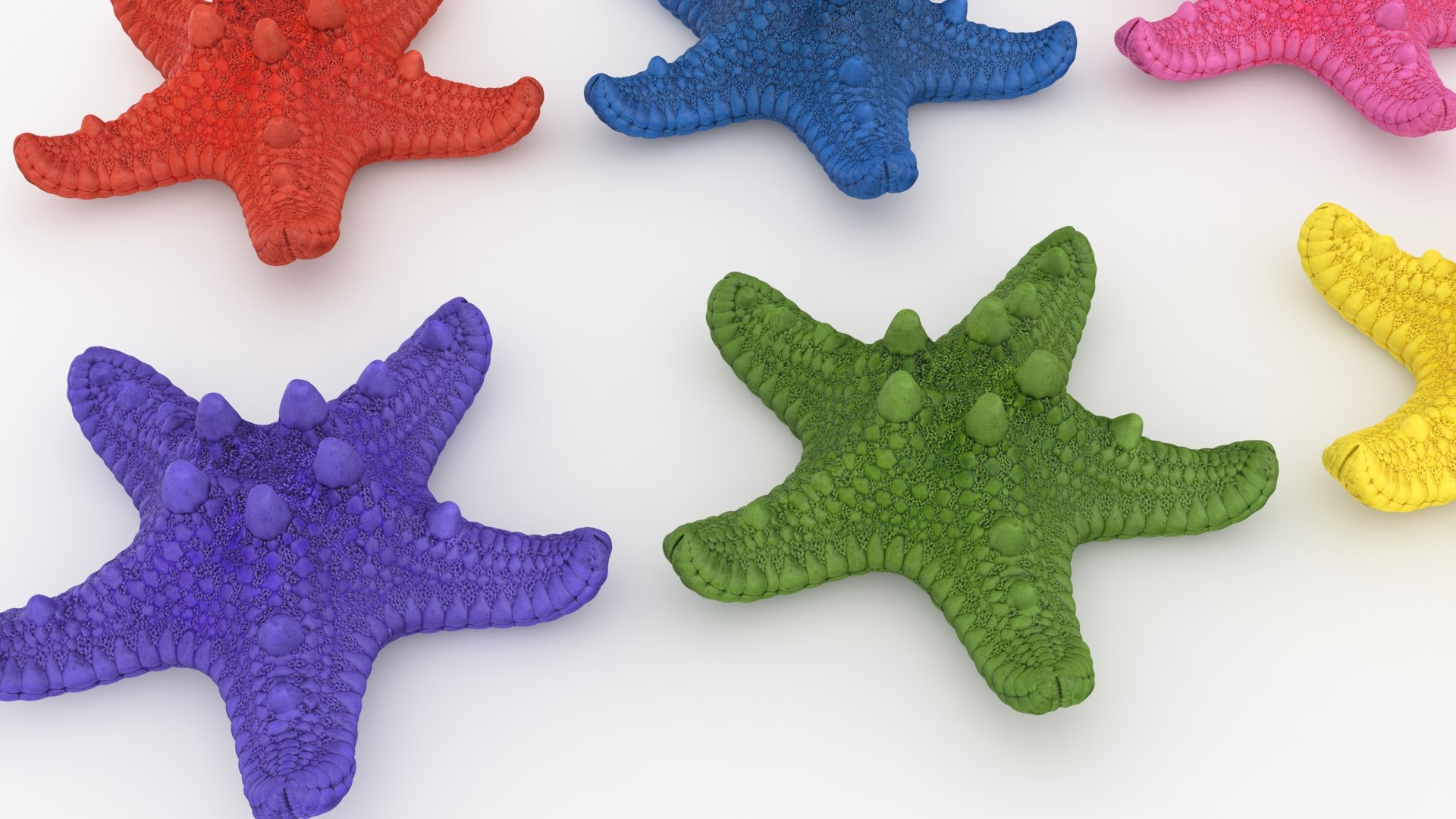 3D Colored Starfish Model - TurboSquid 2314622