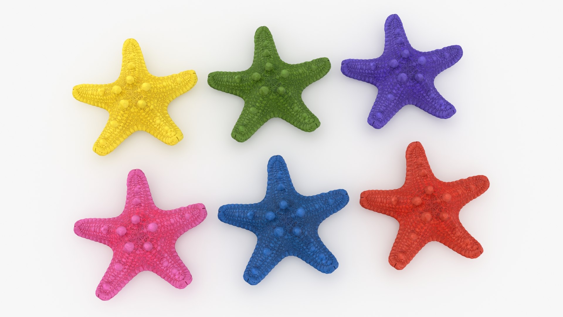 3D Colored Starfish Model - TurboSquid 2314622