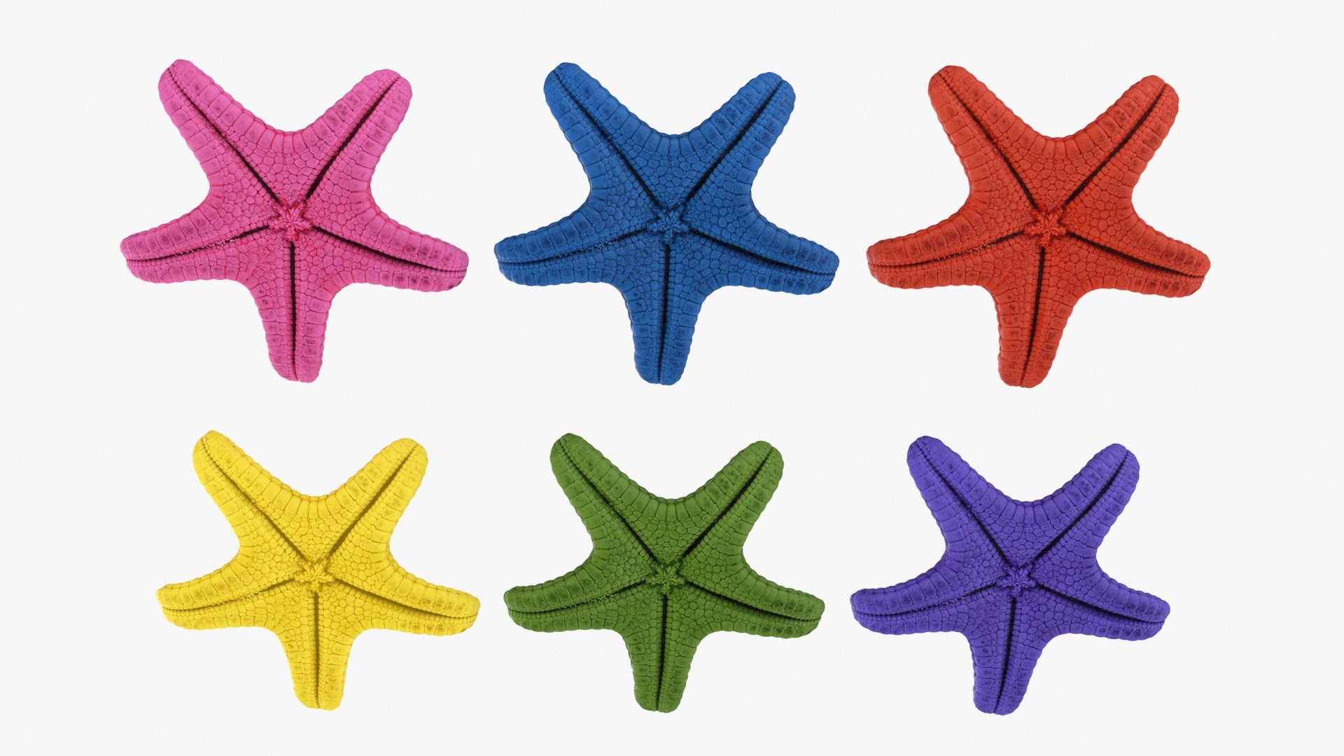 3D Colored Starfish Model - TurboSquid 2314622