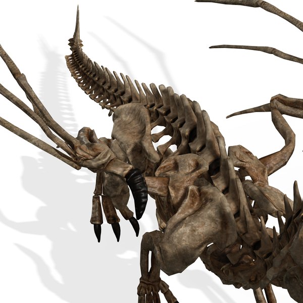 modelo 3d FLYING SKELETON DRAGON - TurboSquid 2111513