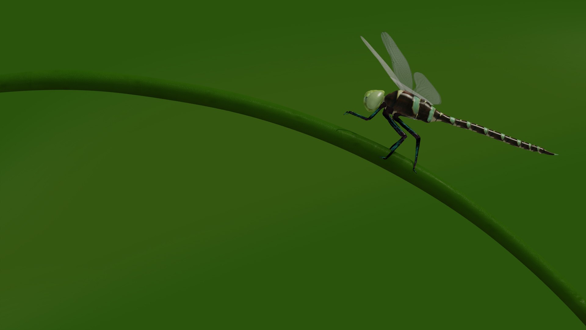 3d model photo realistic dragonfly