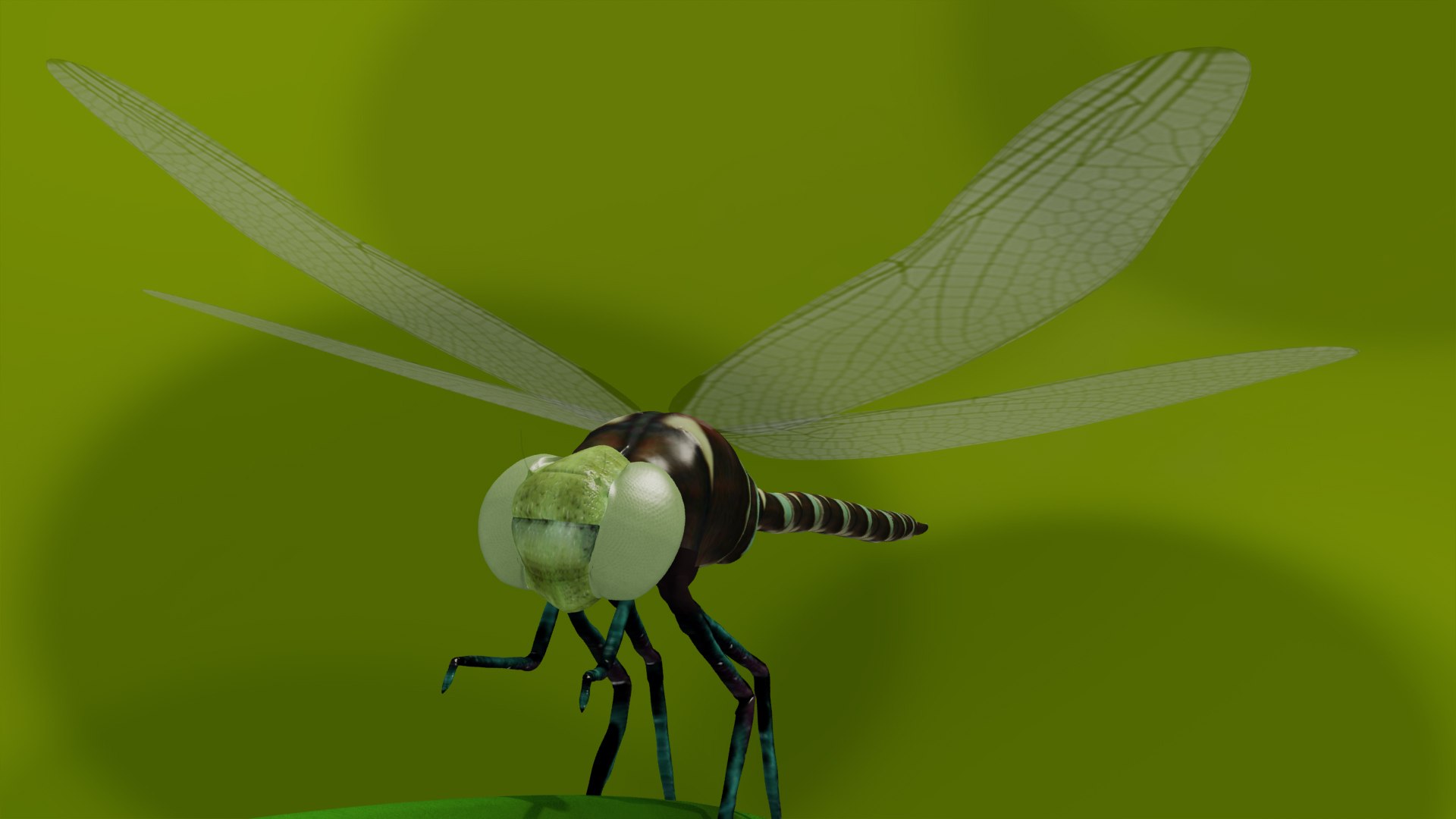 3d model photo realistic dragonfly
