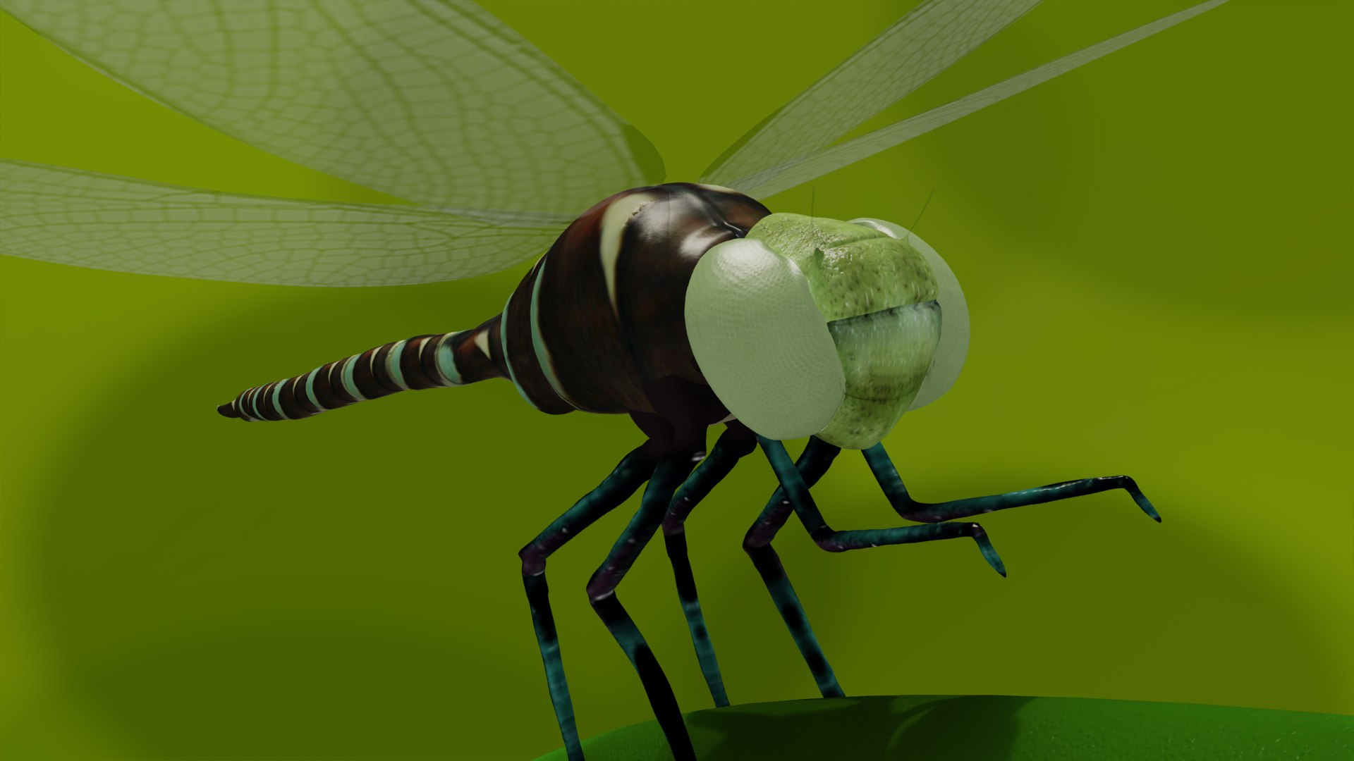 3d model photo realistic dragonfly
