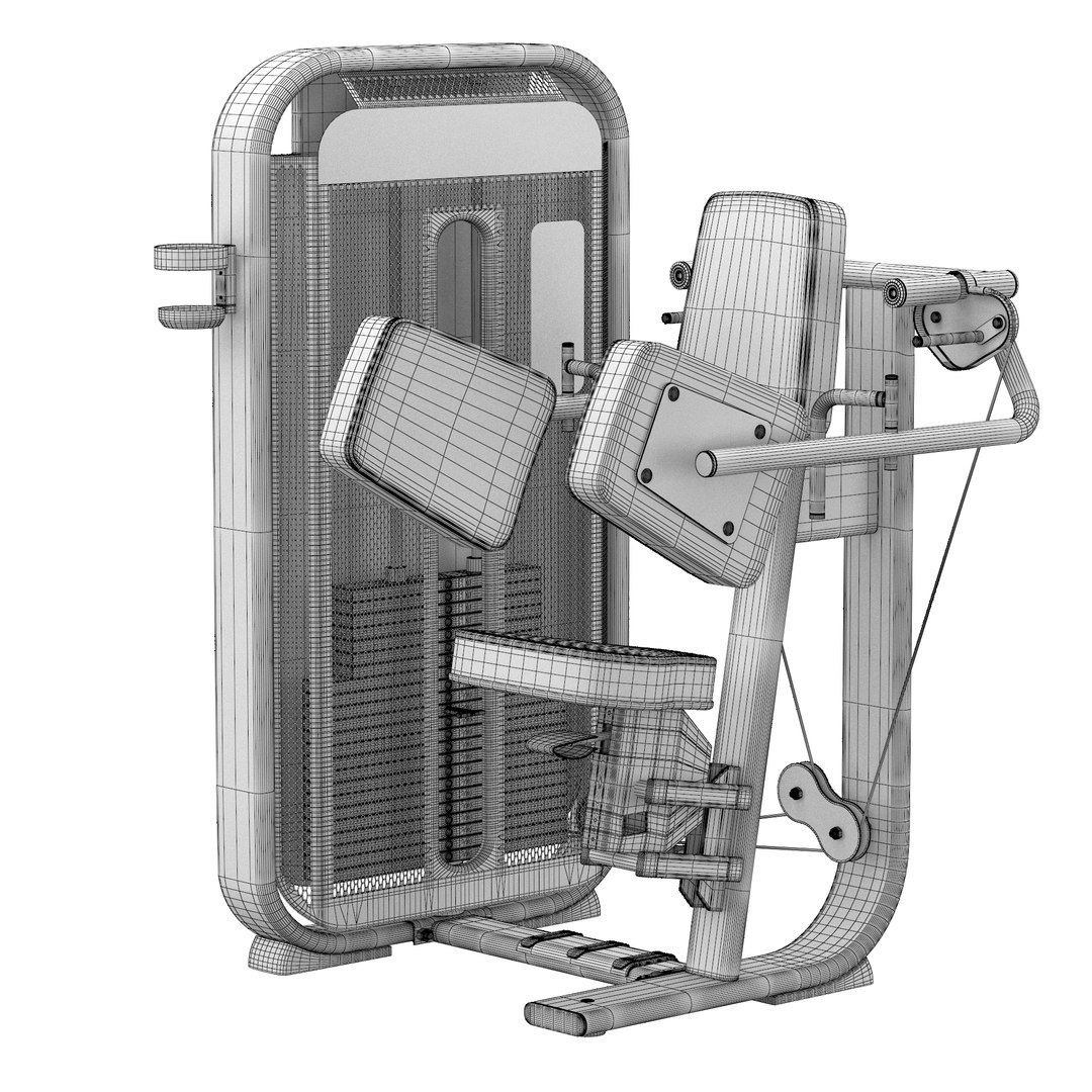 DHZ Fitness E-7005 Lateral Raise 3D Model - TurboSquid 1949538