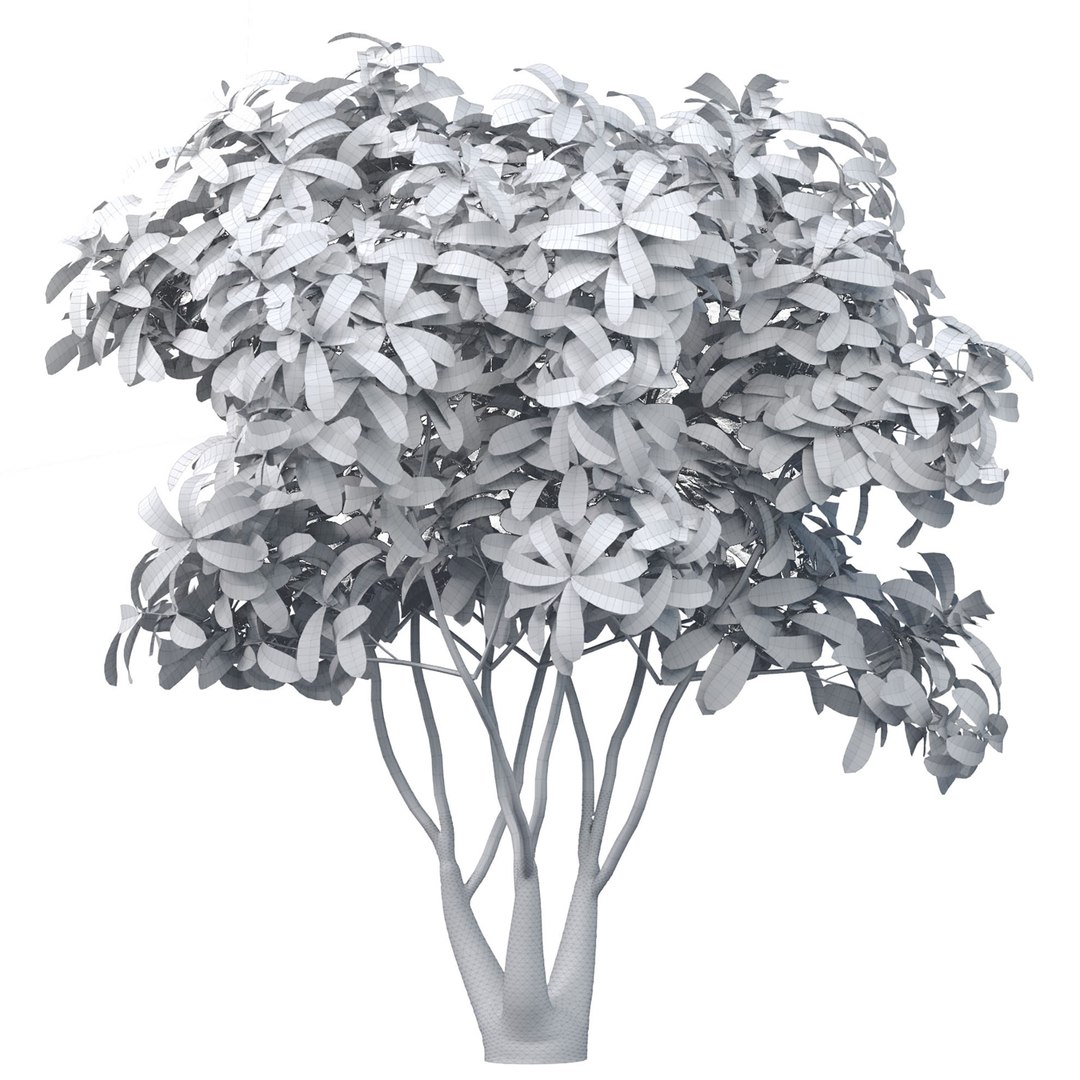 3D Outdoor garden plant tree Shrub - TurboSquid 2164556