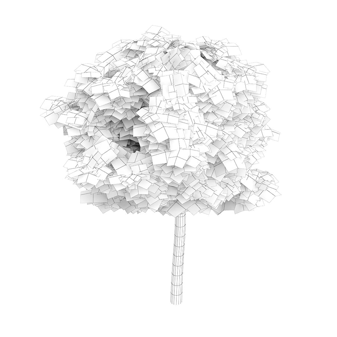 3d Catalpa Scop 4 1m Model