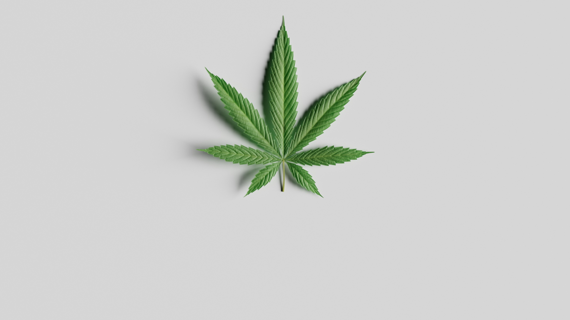 Marijuana Leaf PBR 3D Model - TurboSquid 2336872