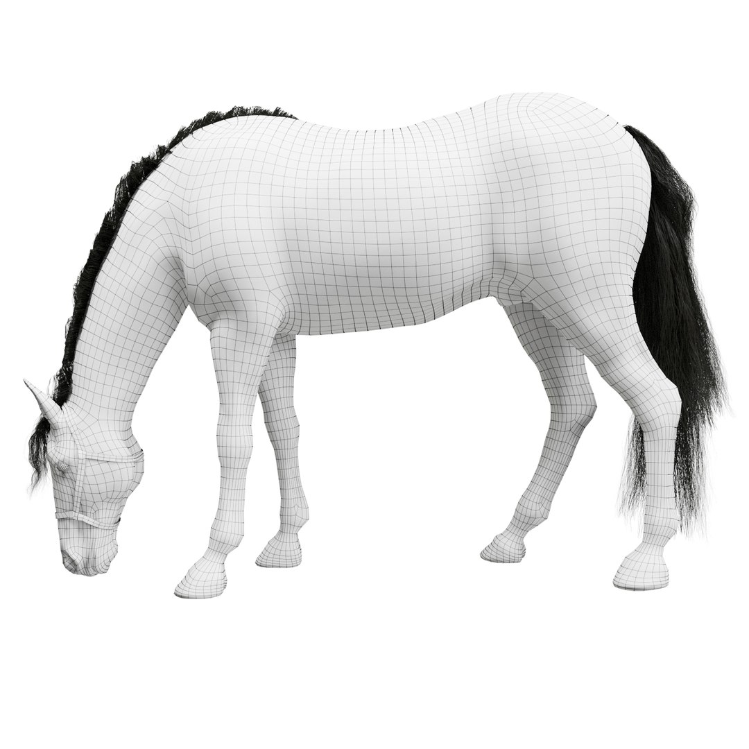 3D Realistic Horse - TurboSquid 1384500