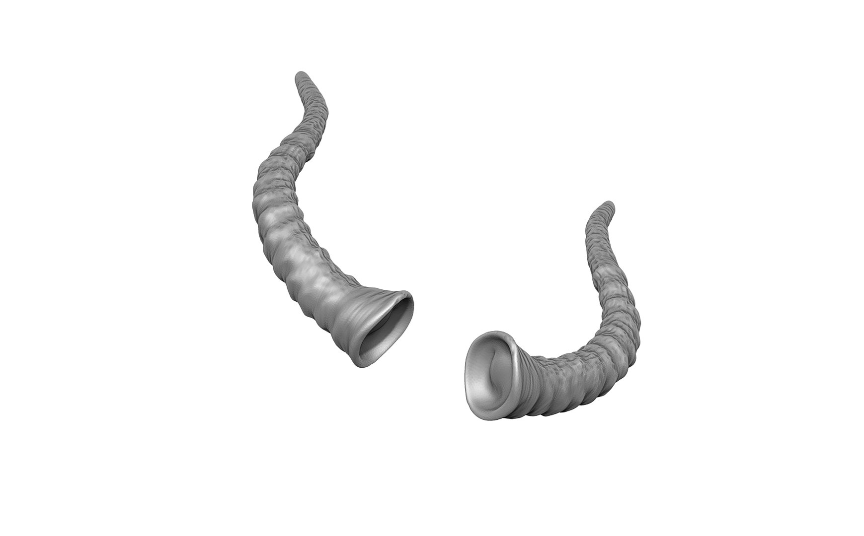 HORN 4 High Poly Sculpt 3D Model 3D Model - TurboSquid 2257644