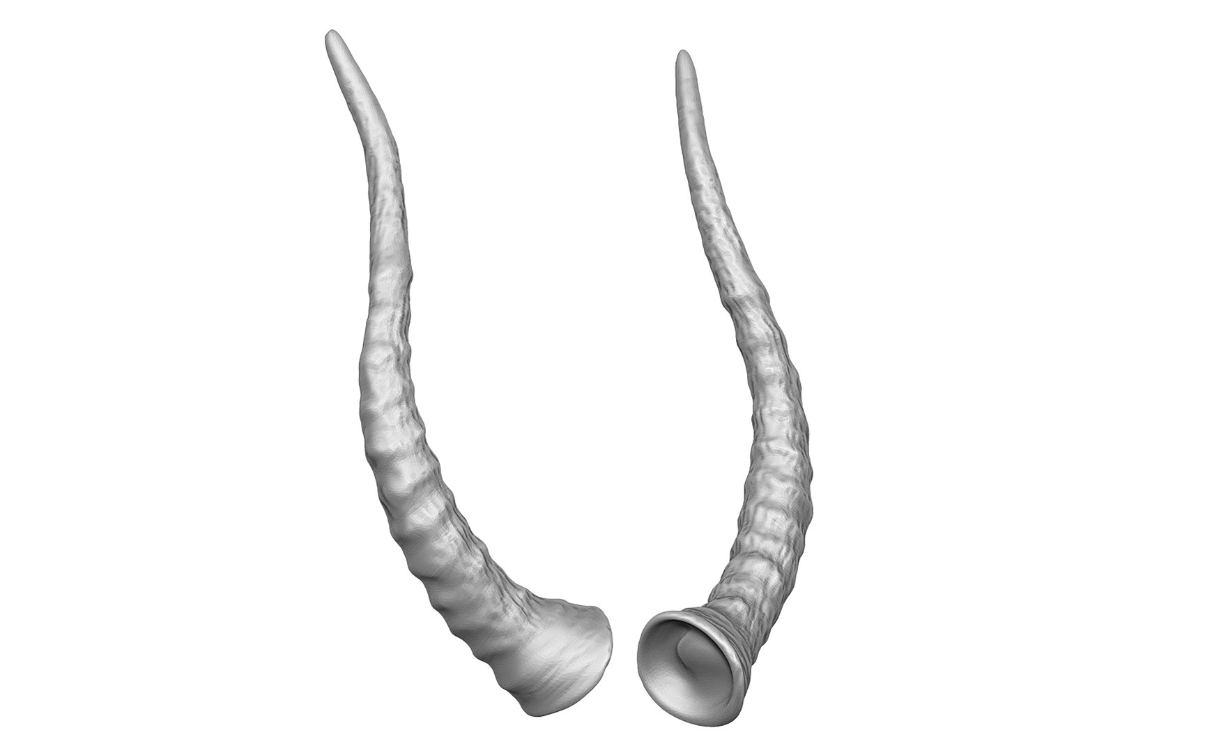 HORN 4 High Poly Sculpt 3D Model 3D Model - TurboSquid 2257644