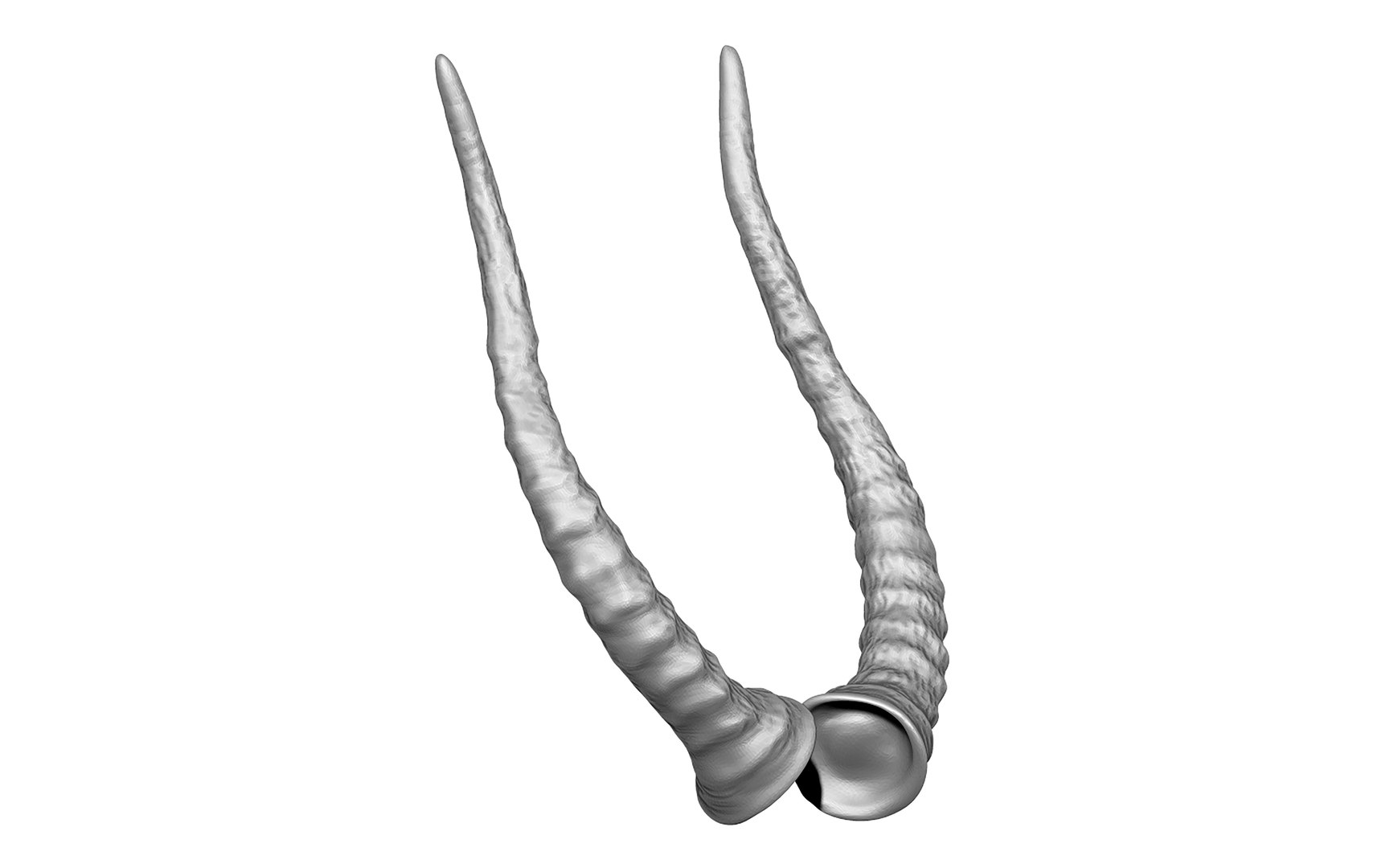 HORN 4 High Poly Sculpt 3D Model 3D Model - TurboSquid 2257644
