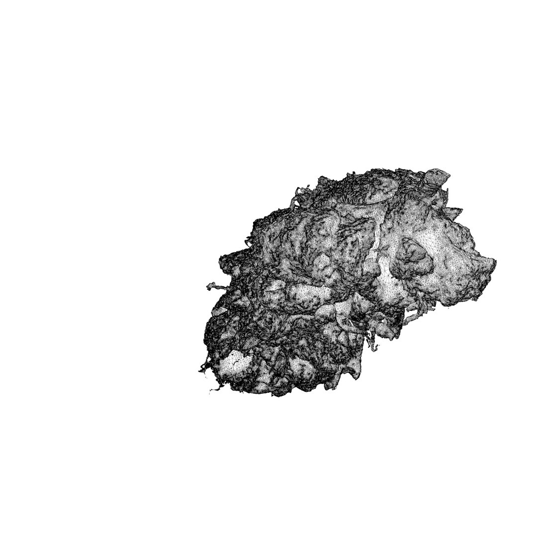 Cannabis 3D - TurboSquid 2160667