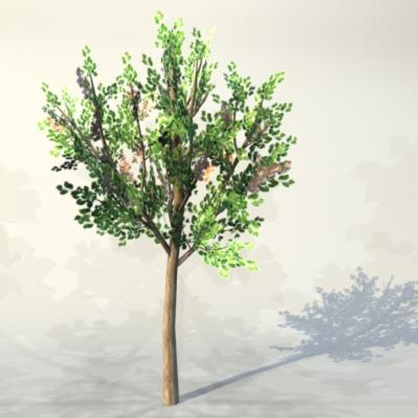 pc tree 3d max