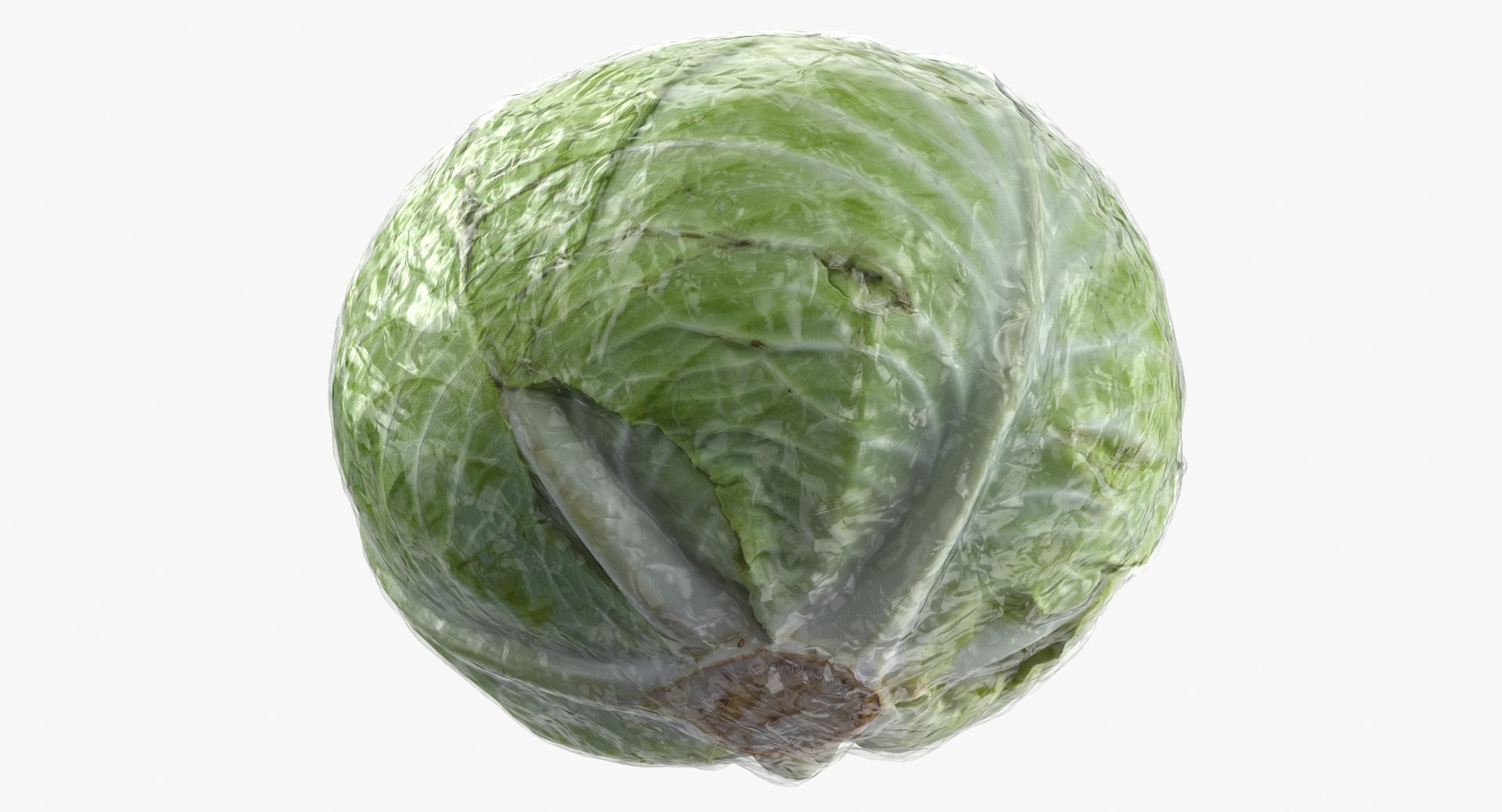 3D Cabbage 01 With Wrap - TurboSquid 1839077