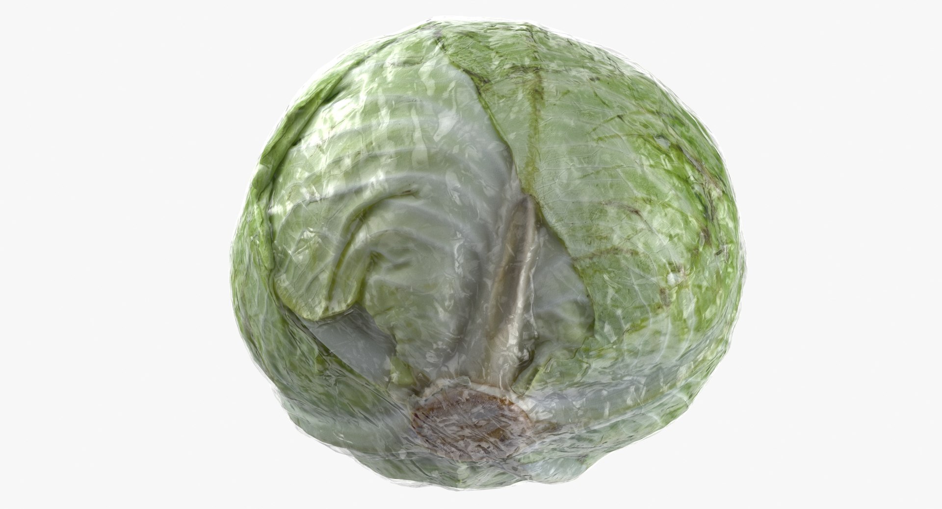 3D Cabbage 01 With Wrap - TurboSquid 1839077