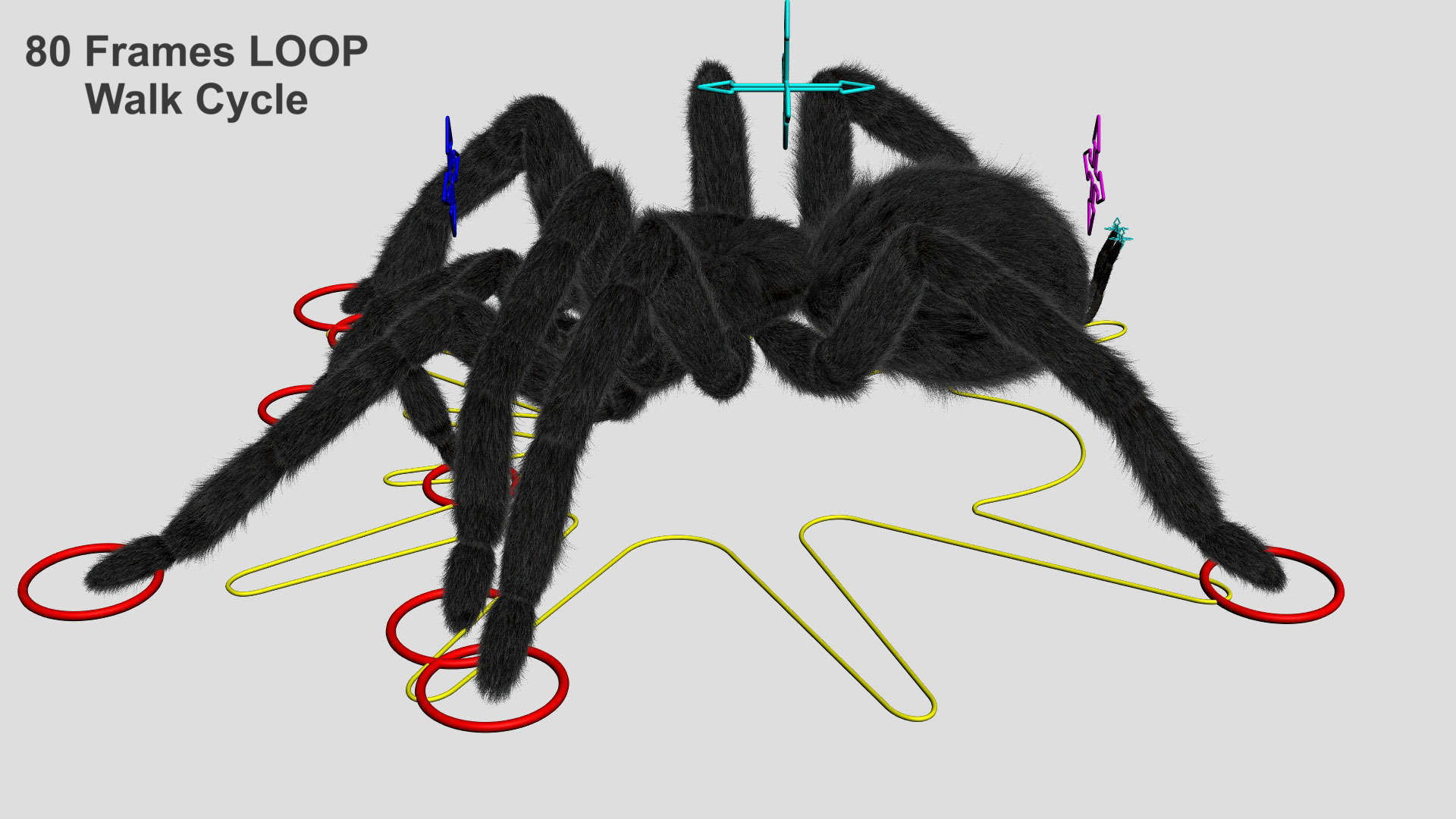 3D Black Tarantula model - TurboSquid 1908613