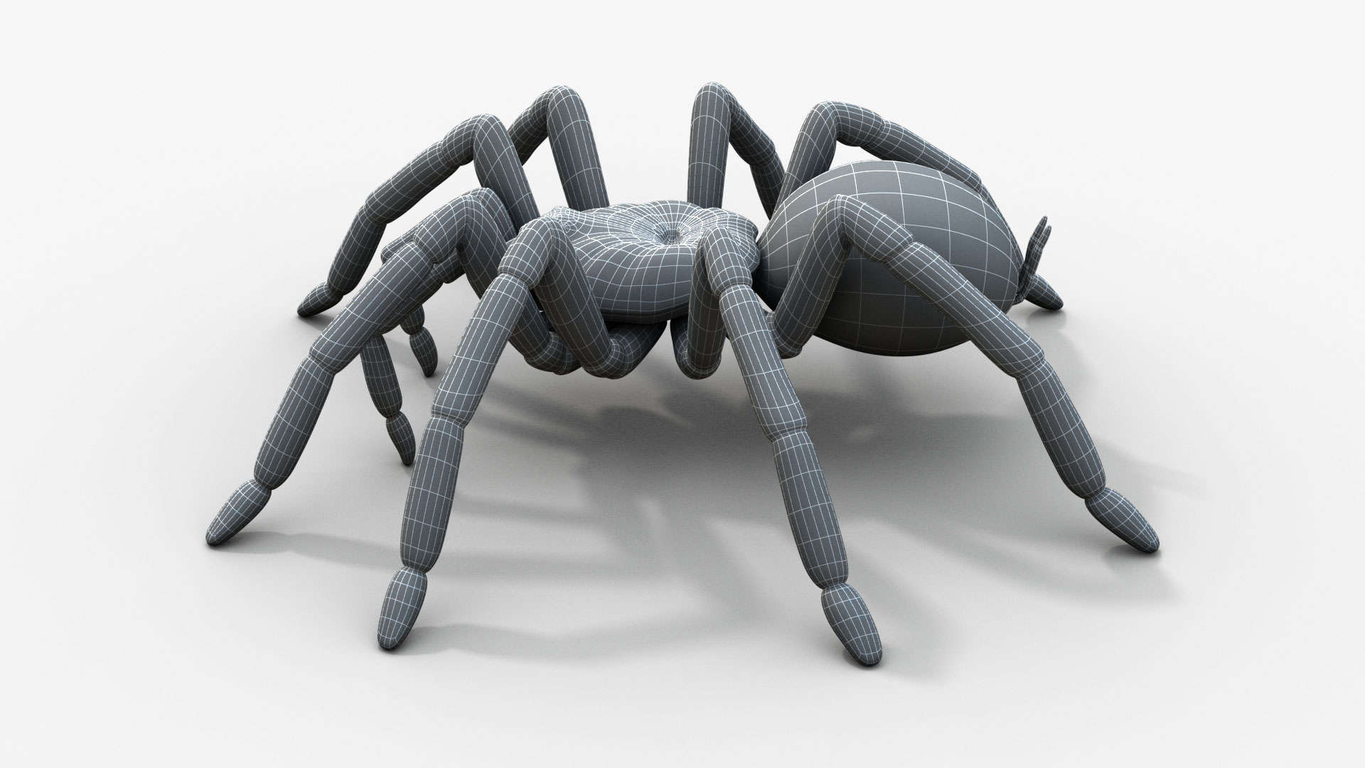 3D Black Tarantula model - TurboSquid 1908613