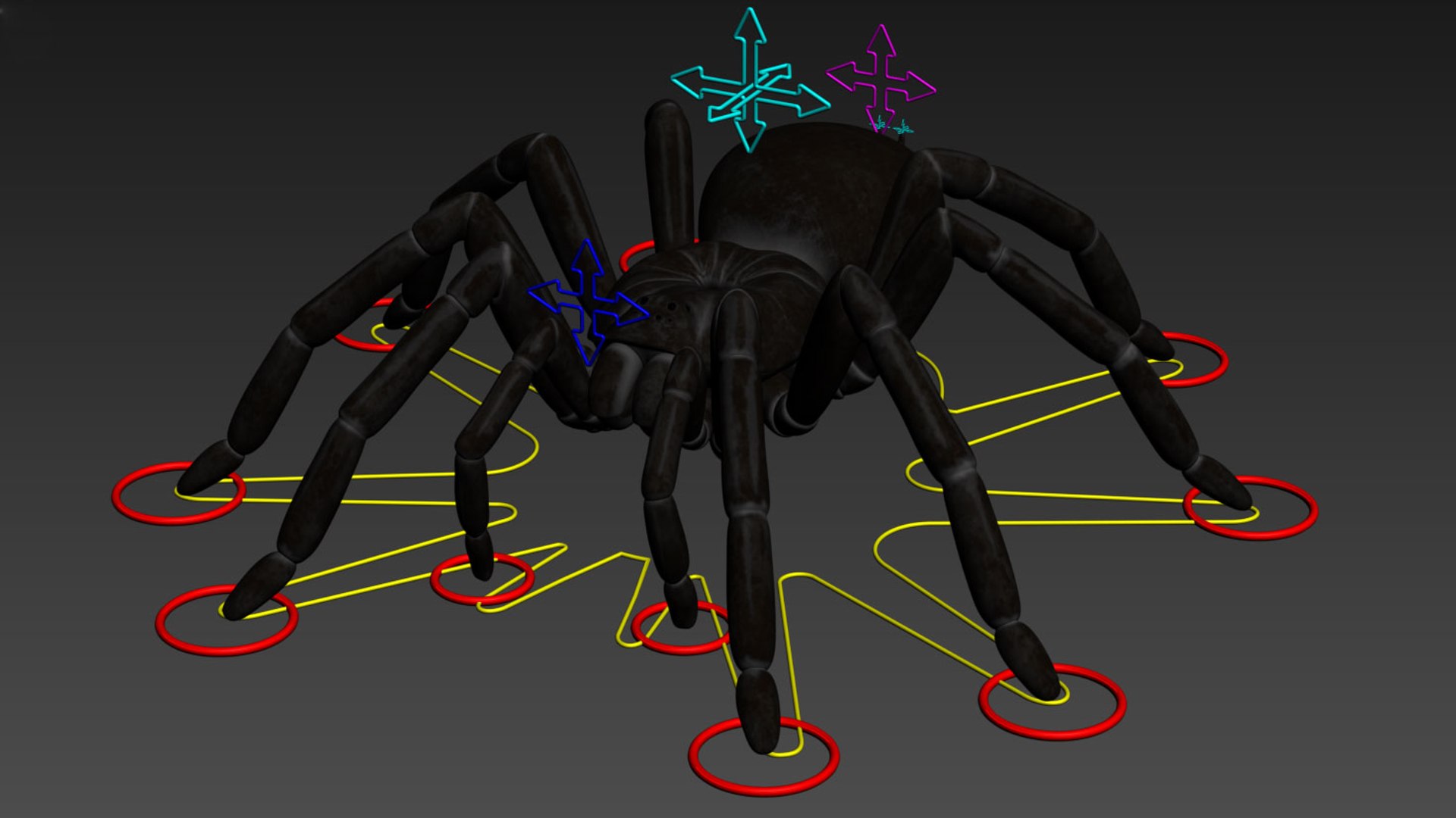 3D Black Tarantula Model - TurboSquid 1908613