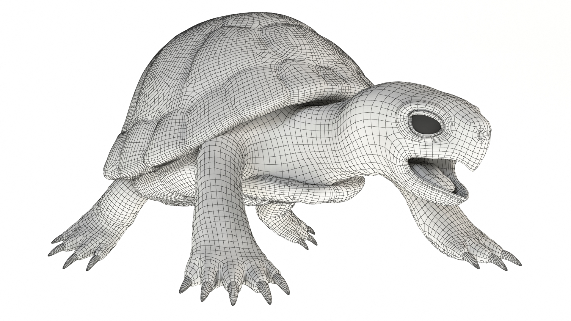 Tortoise rig 3D model - TurboSquid 1706949