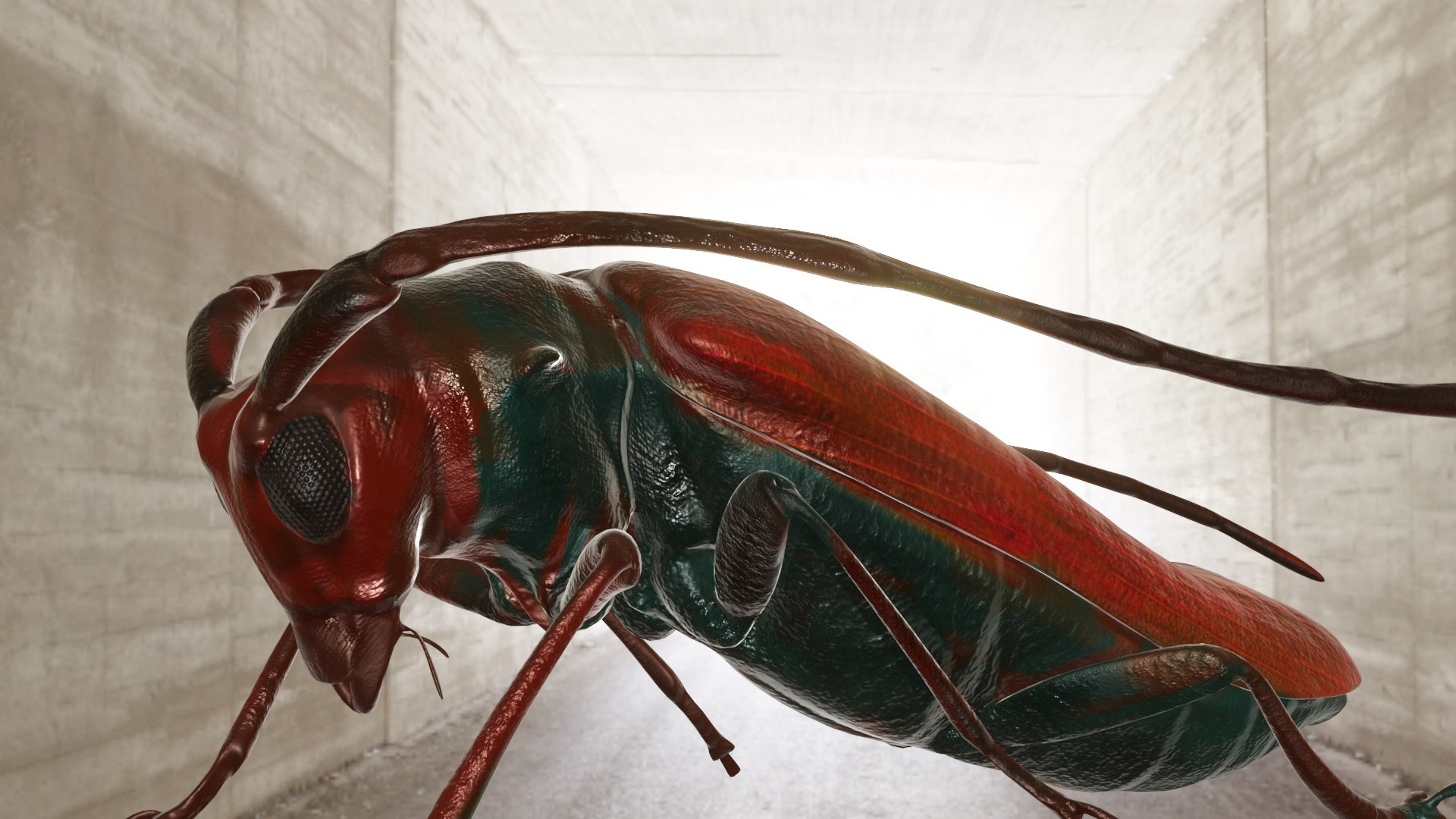 Free 3D Cockroach Model - TurboSquid 1765413