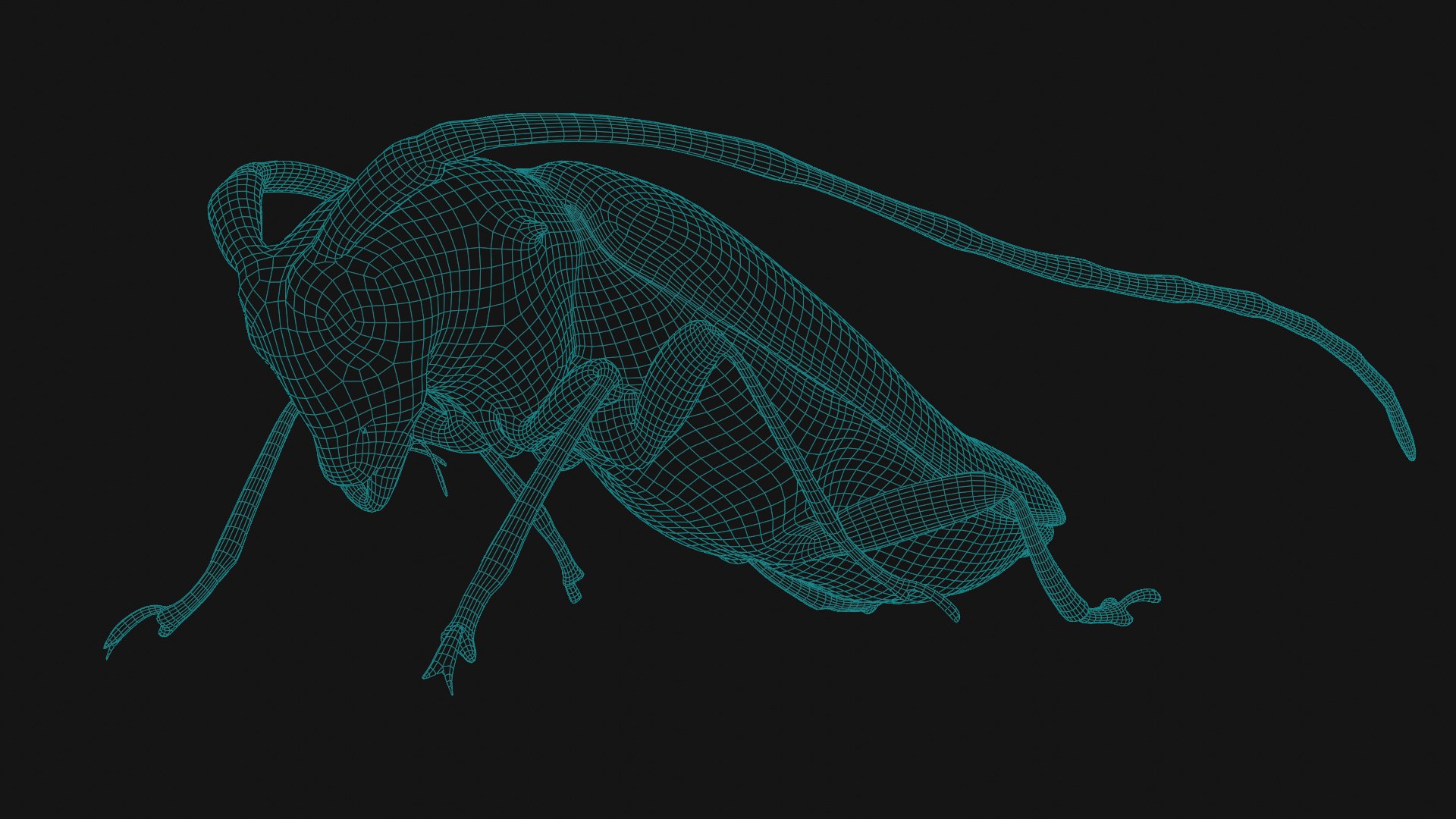 Free 3D Cockroach Model - TurboSquid 1765413