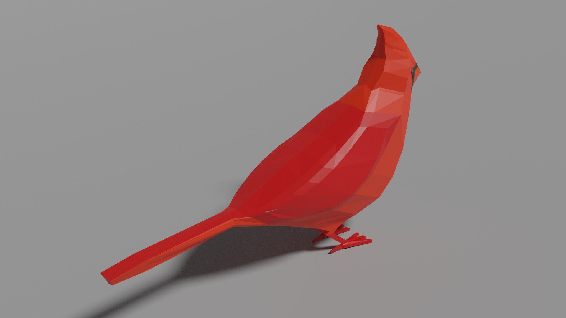 Cardinal 3D - TurboSquid 1598249