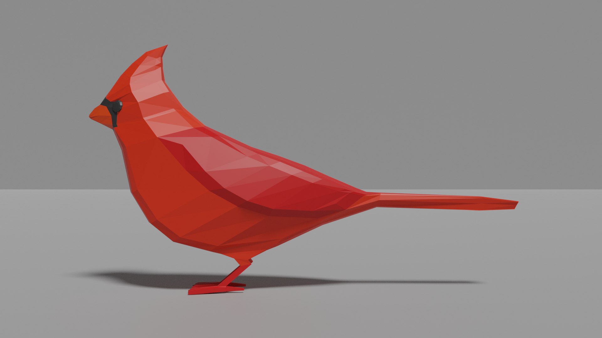 Cardinal 3D - TurboSquid 1598249
